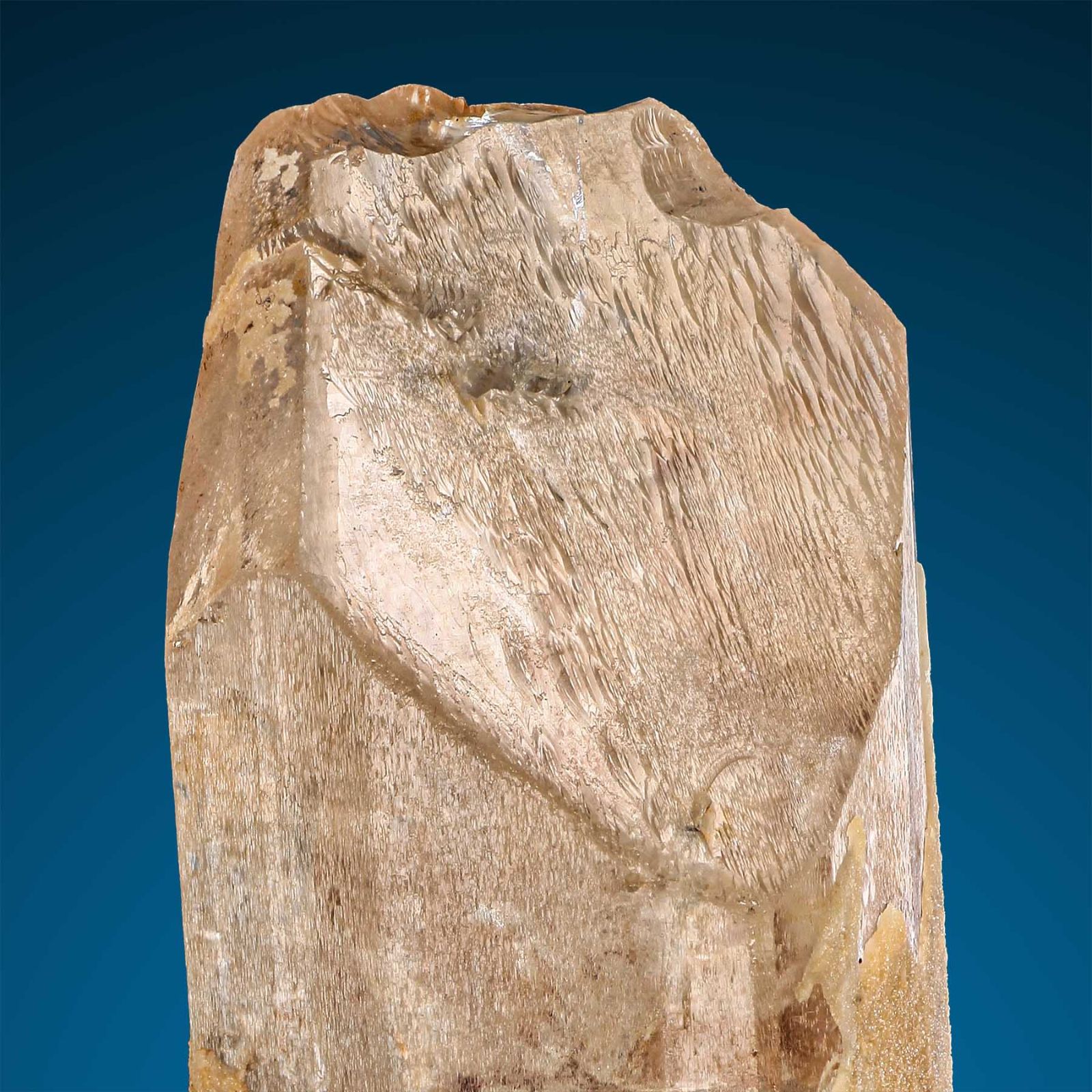 Wendel-Minerals | Item: 412 - Danburite-La Bufa Mine | Charcas | San ...