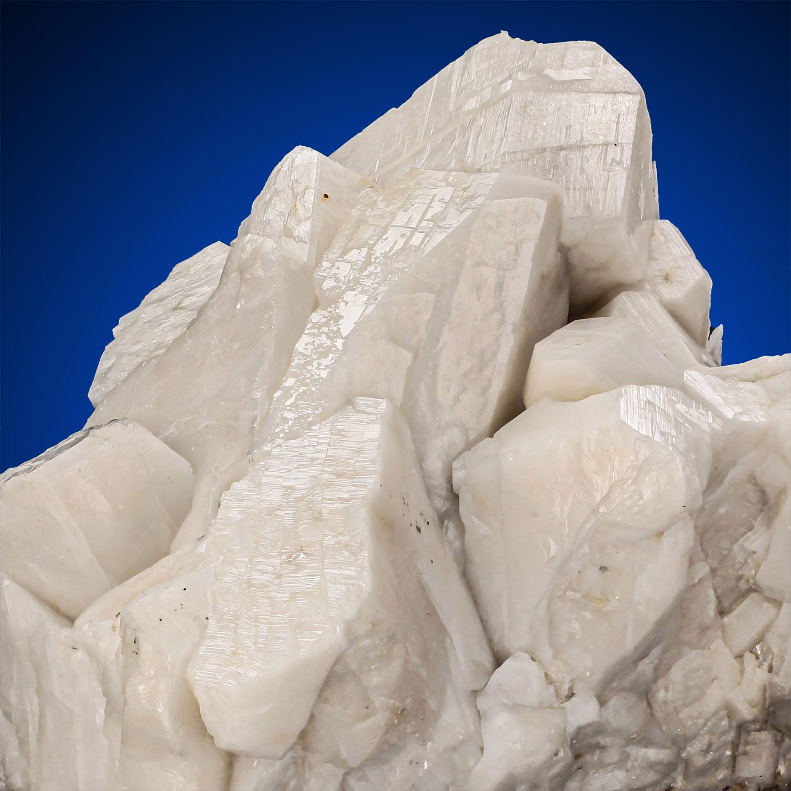 Wendel-Minerals | Item: 480 - Pericline-Hohe Riffl | Glocknergruppe ...