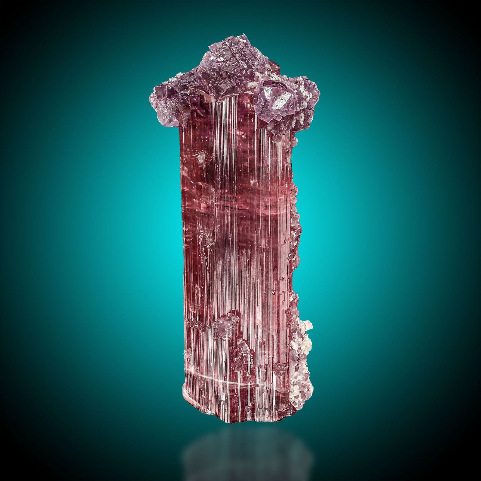 Wendel-Minerals | Item: 266 - Elbaite-Tourmaline Queen Mine | Pala ...