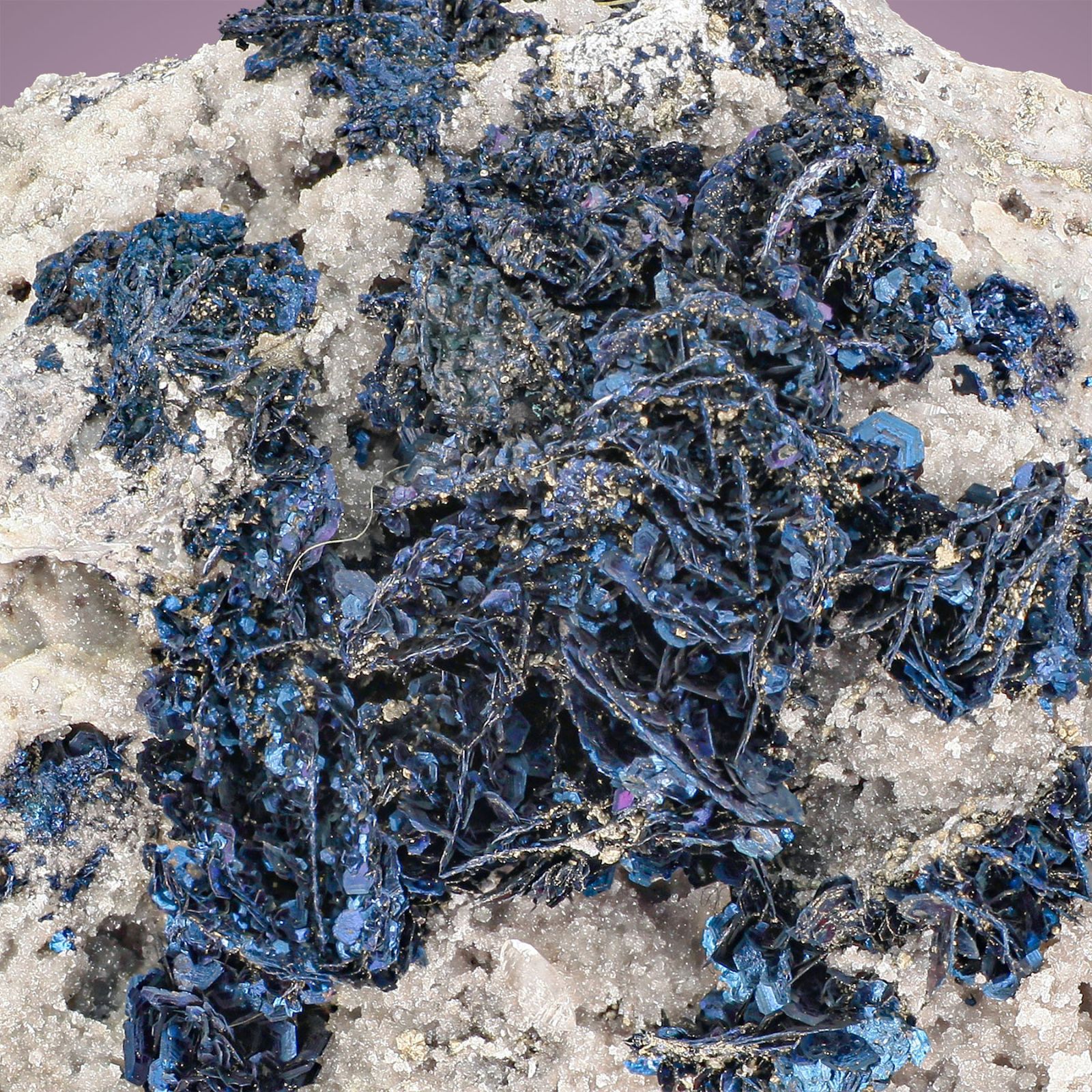 Wendel-Minerals | Item: 161 - Covellite-Summitville | Rio Grande Co ...