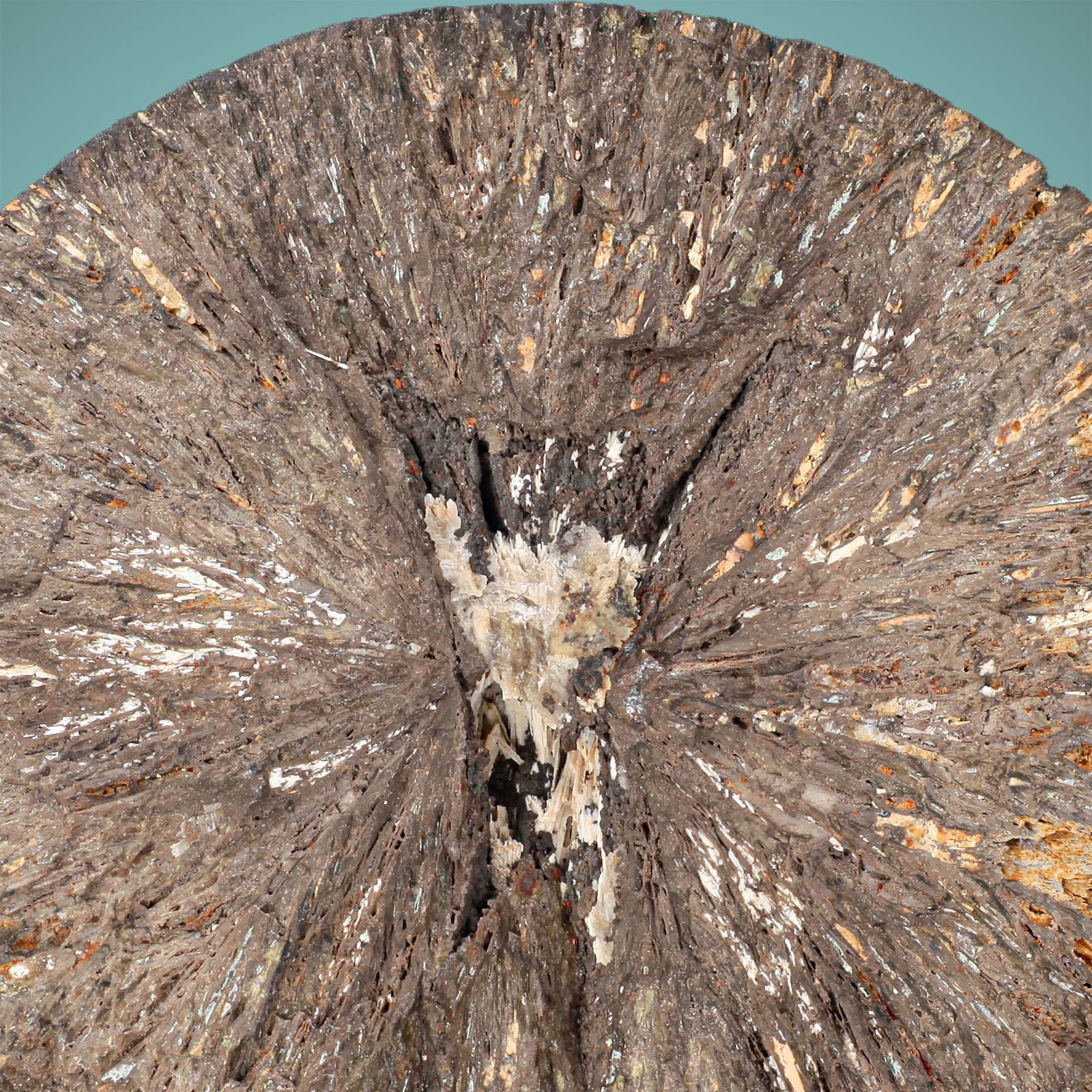 Wendel-Minerals | Item: 67 - Phosphorite-Khmelnytskyi Oblast | Ukraine