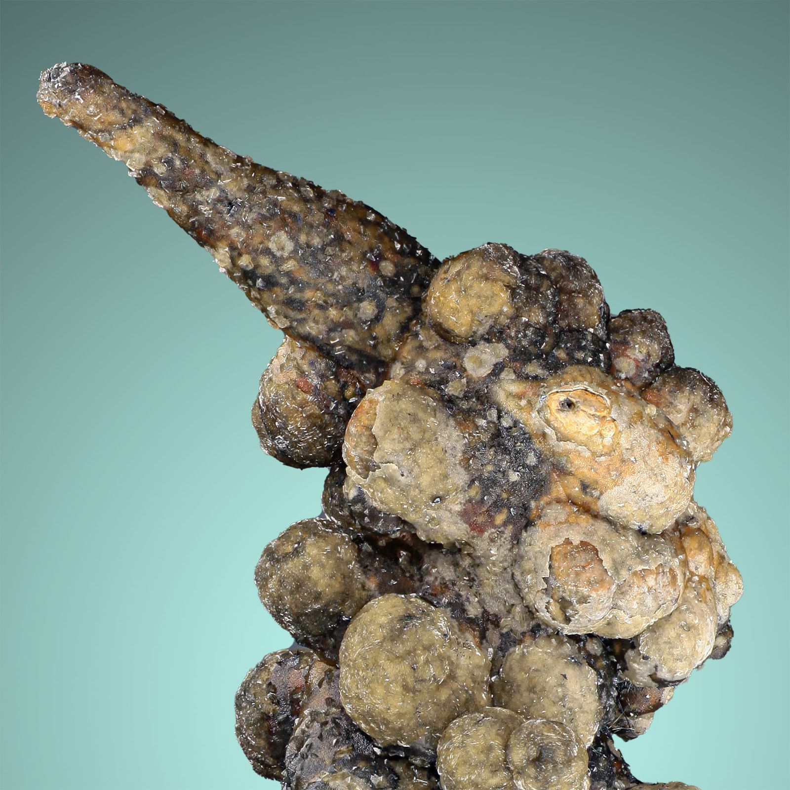 Wendel-Minerals | Item: 70 - Siderite-Herja Mine | Chiuzbaia (Kisbánya ...