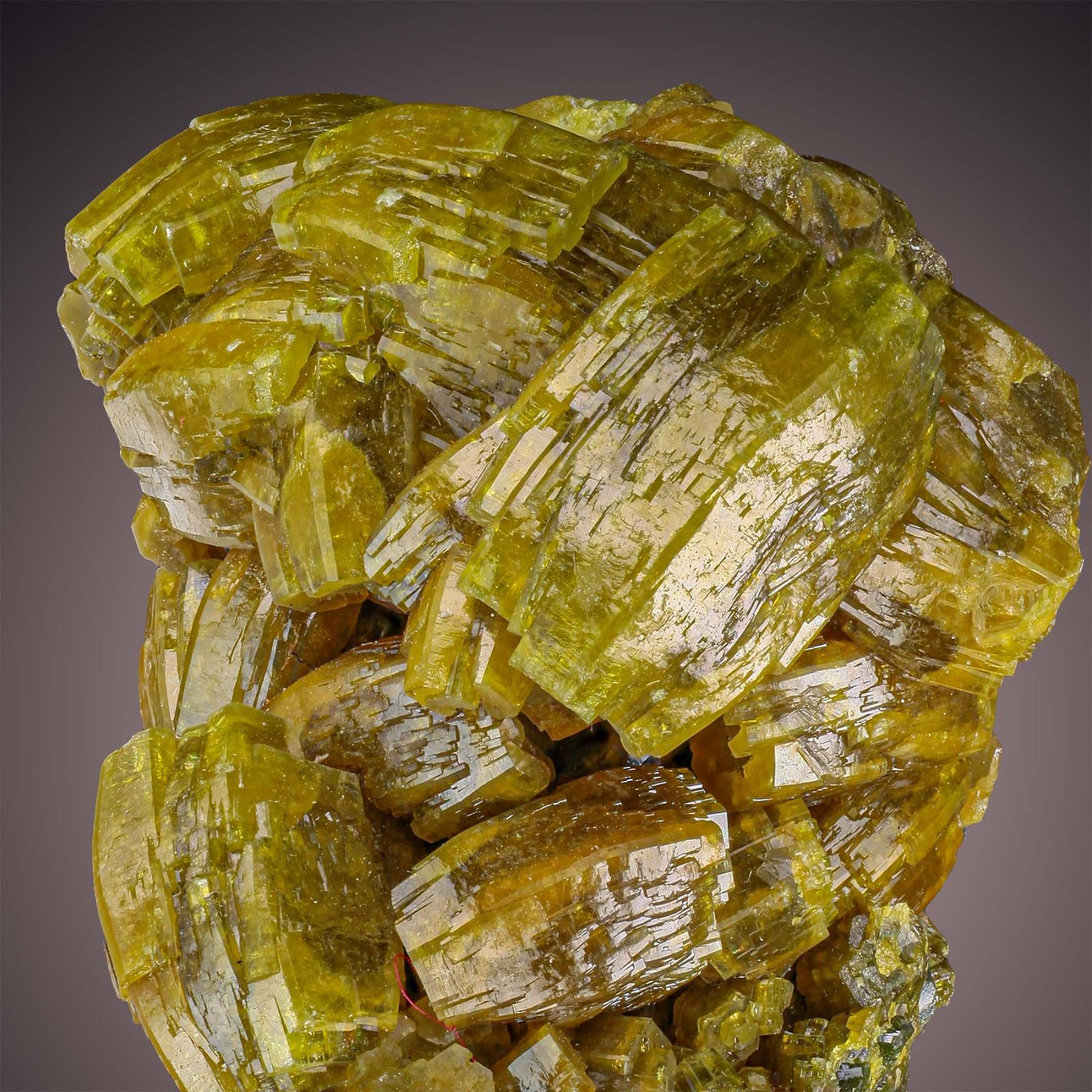 Wendel-Minerals | Item: 35 - Pyromorphite-Merkur Mine | Bad Ems | Lahn ...