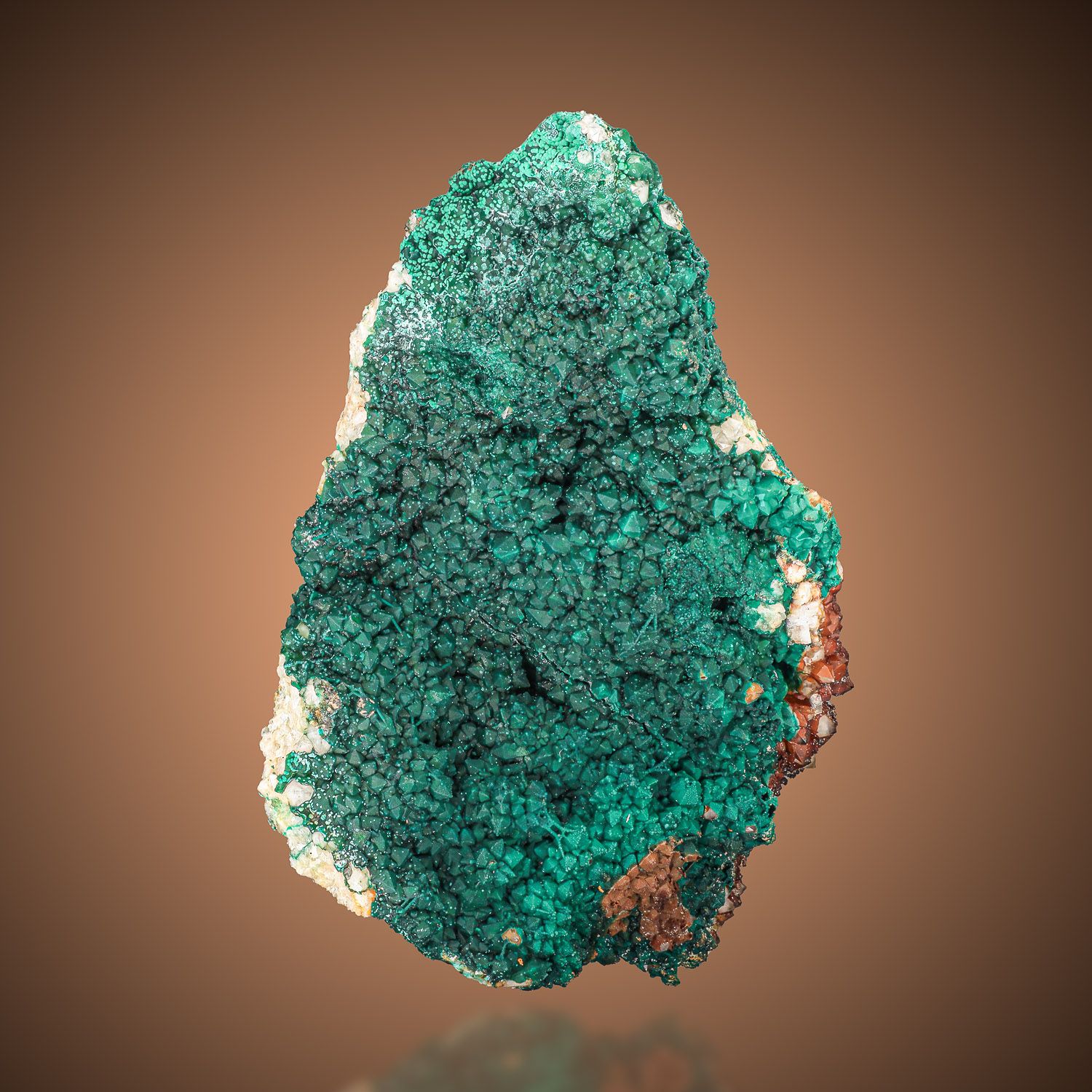 Wendel-Minerals | Item: 2233 - Cornwallite-Clara Mine | Wolfach | Black ...