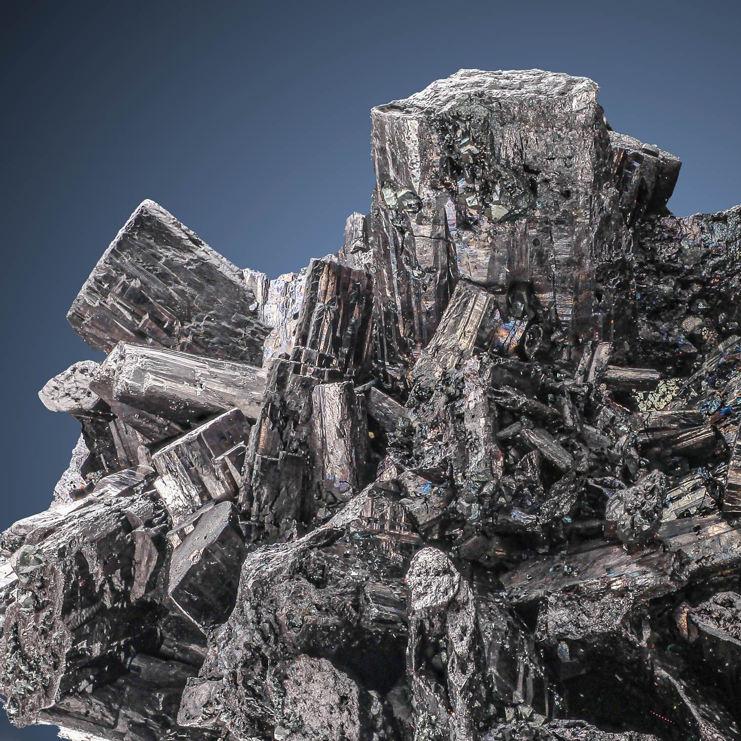 Wendel-Minerals | Item: 2241 - Enargite-Casapalca | Huarochiri Province ...