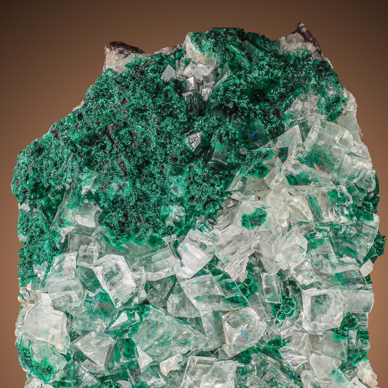 Wendel-Minerals | Item: 2290 - Malachite-Tsumeb Mine | Tsumeb ...