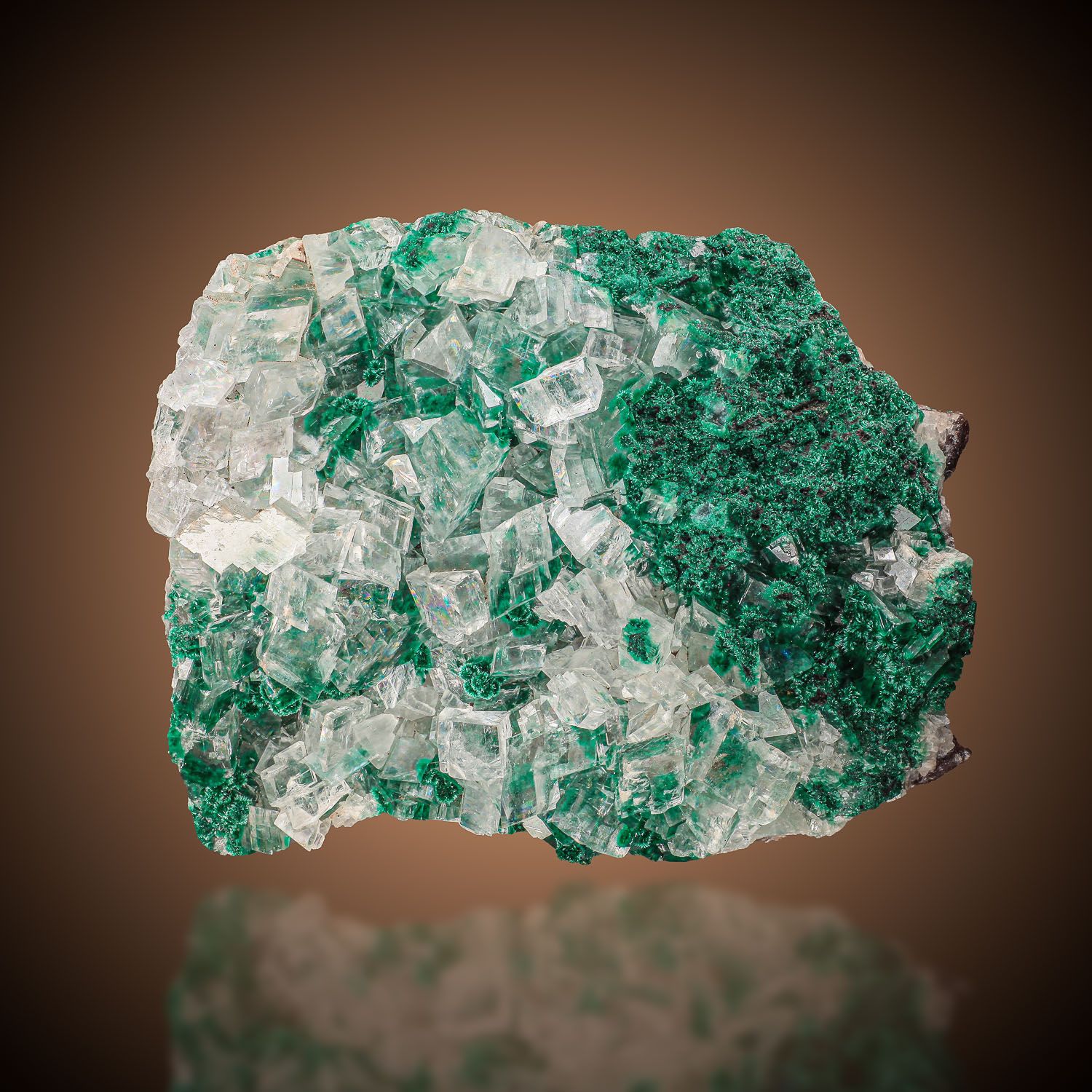 Wendel-Minerals | Item: 2290 - Malachite-Tsumeb Mine | Tsumeb ...