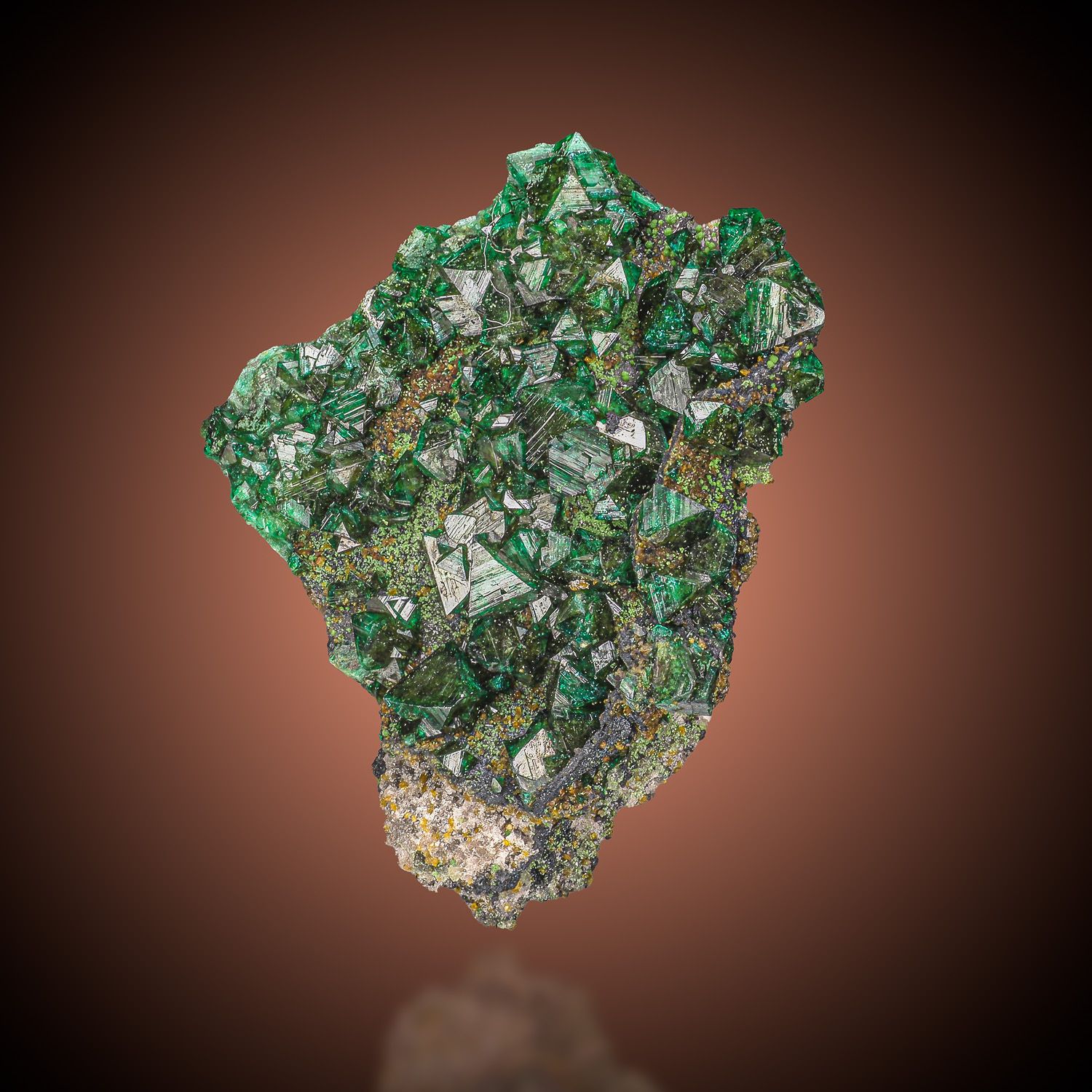 Wendel-Minerals | Item: 2449 - Libethenite-Star of Congo Mine ...