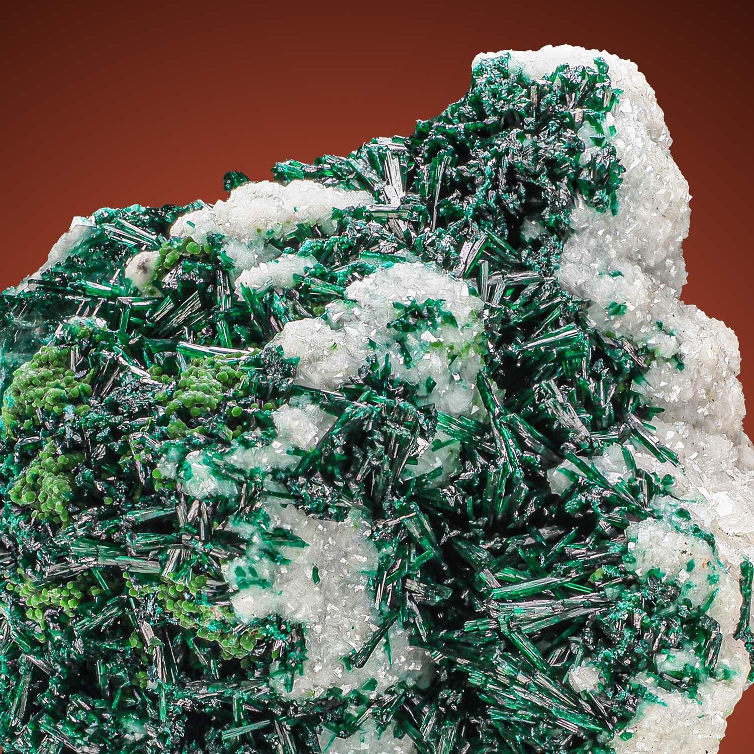 Wendel-Minerals | Item: 2452 - Malachite -Tsumeb Mine | Tsumeb ...