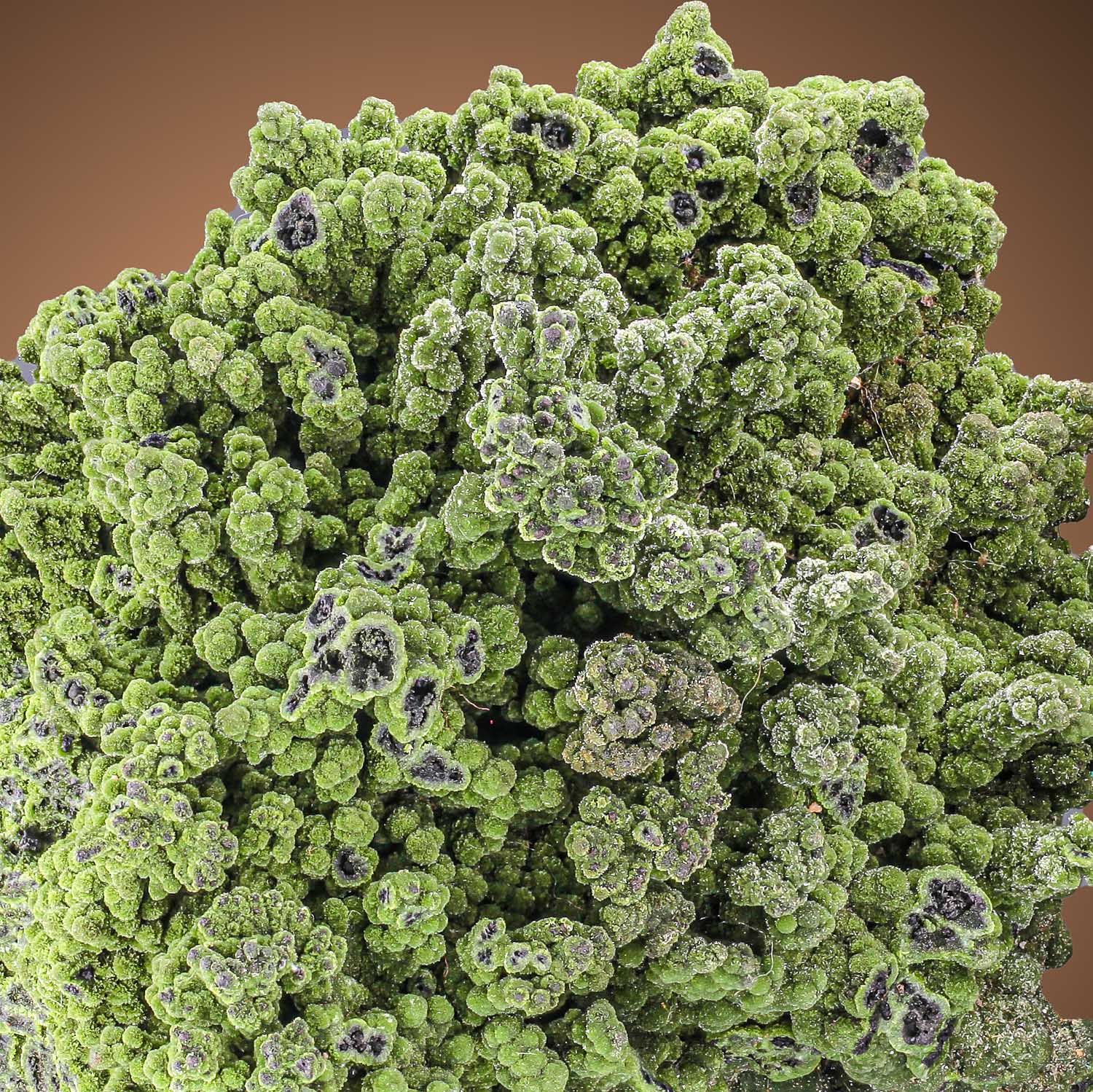 Wendel-Minerals | Item: 2466 - Mottramite-Tsumeb Mine | Tsumeb ...