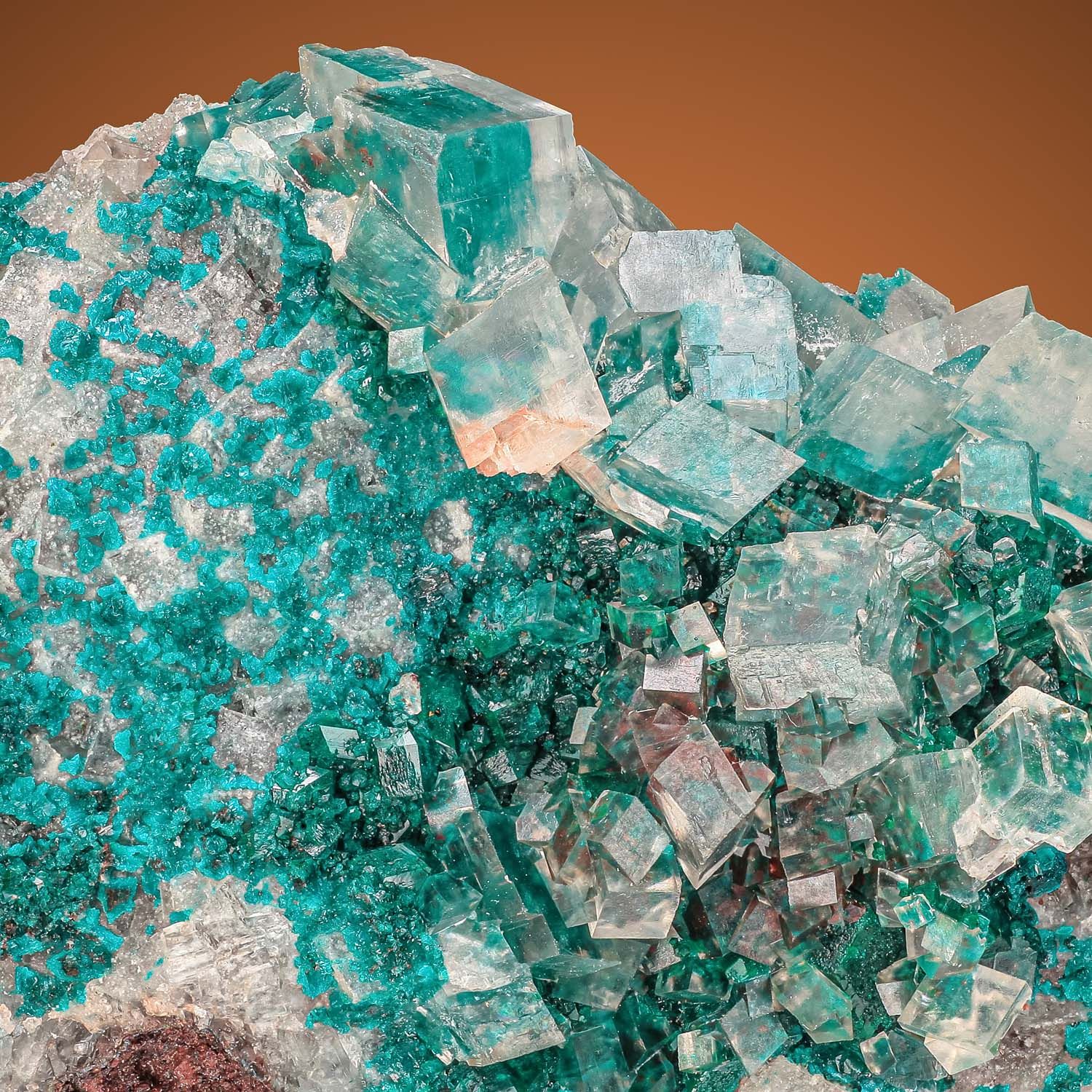 Wendel-Minerals | Item: 2697 - Dioptase-Tsumeb Mine | Tsumeb | Otjikoto ...