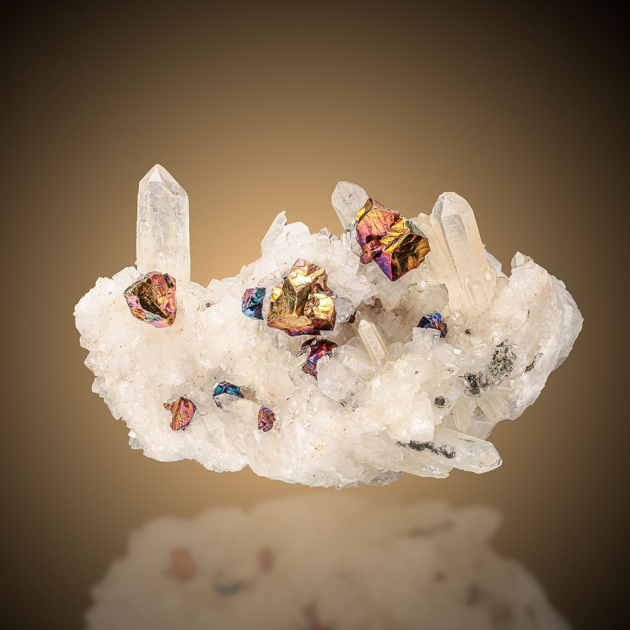 Wendel-Minerals | Item: 797 - Chalcopyrite-Traversella | Torino Region ...