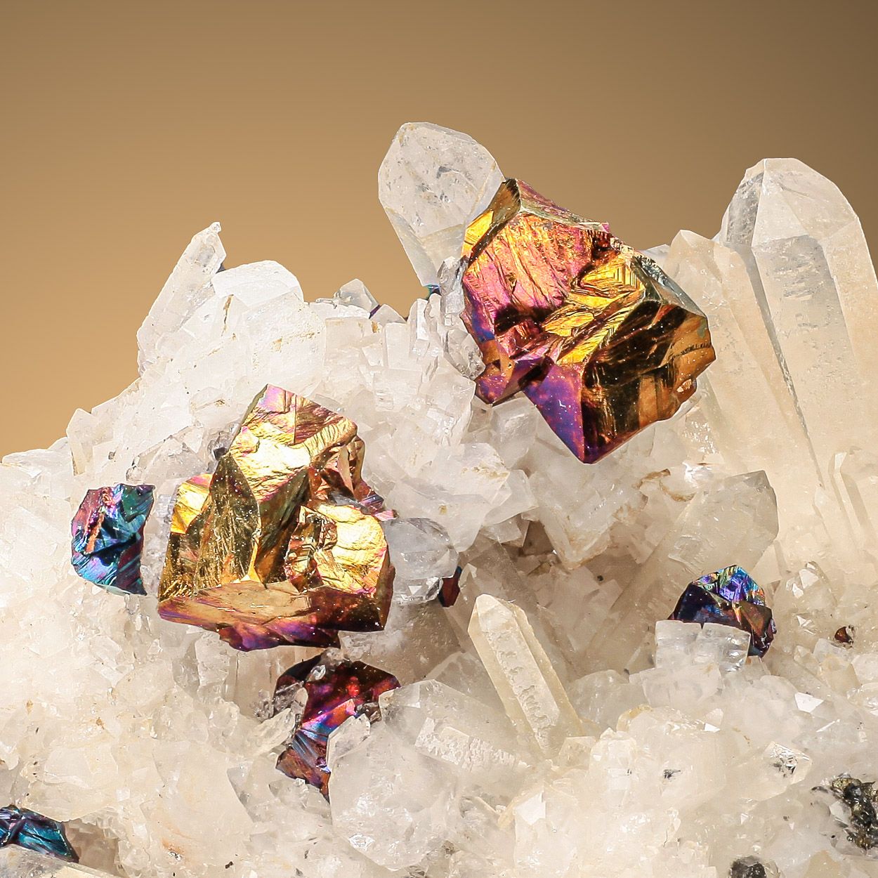 Wendel-Minerals | Item: 797 - Chalcopyrite-Traversella | Torino Region ...