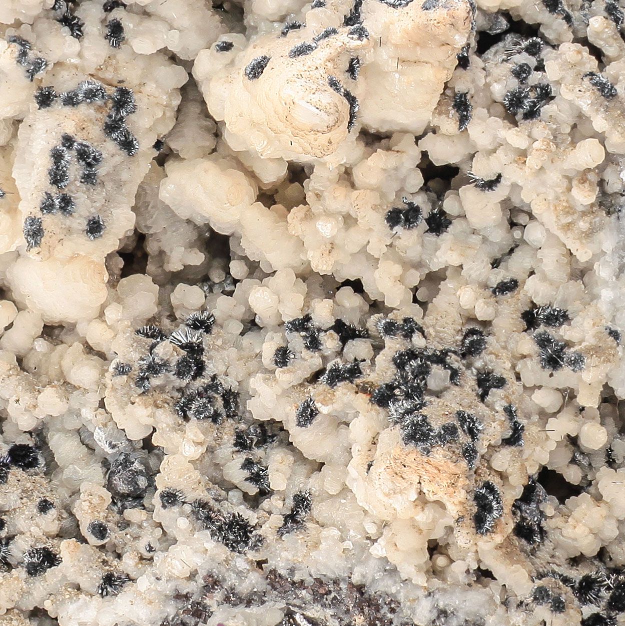 Wendel-Minerals | Item: 863 - Heteromorphite-St. Andreasberg | Harz ...