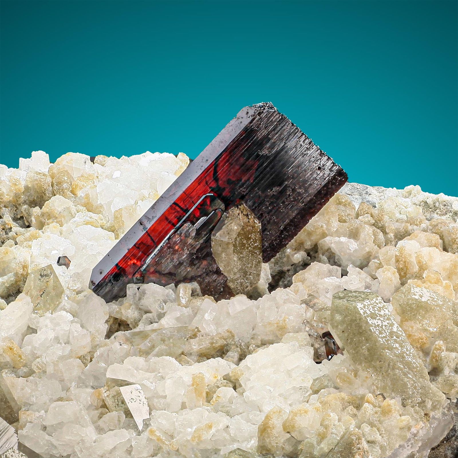 Wendel-Minerals | Item: 1096 - Brookite-Zard Mt. | Ras Koh Mts ...