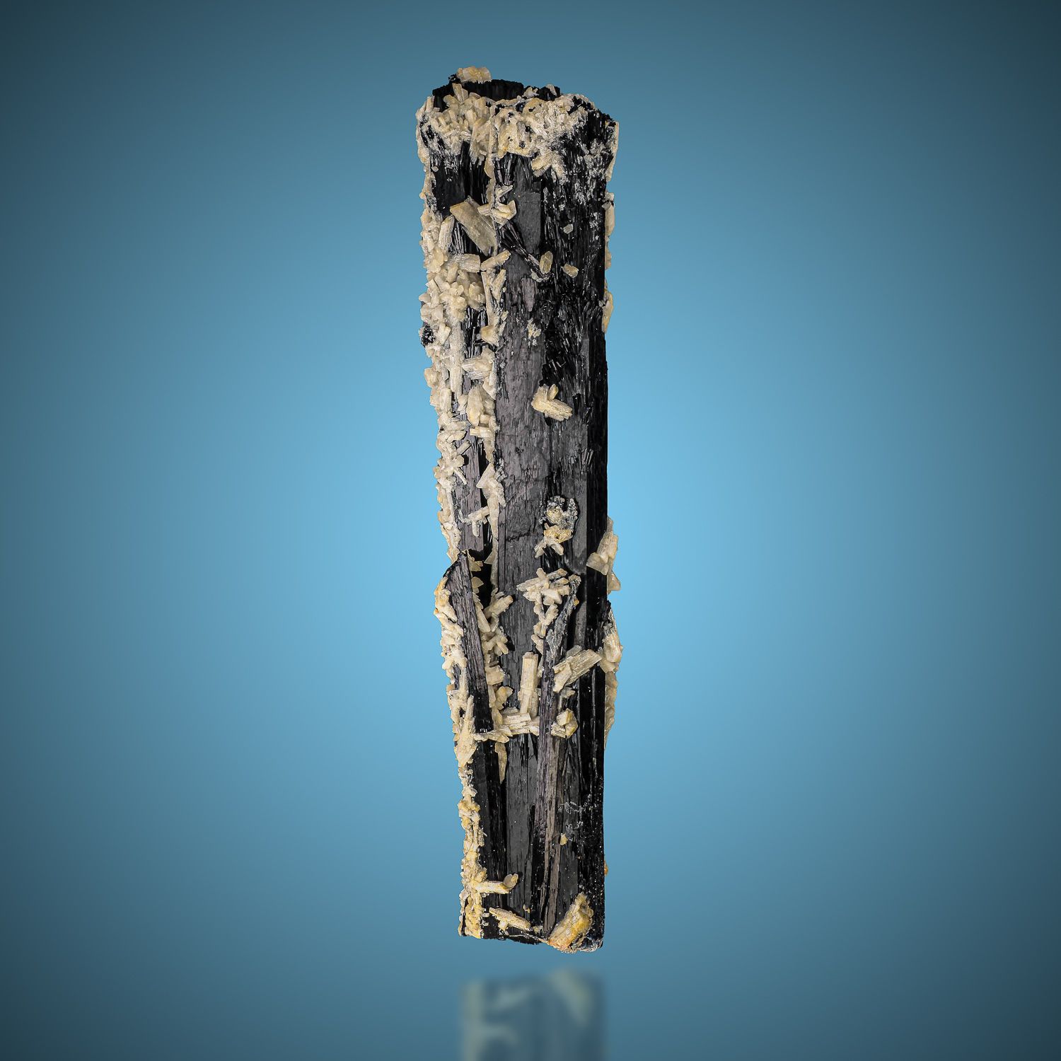 Wendel-Minerals | Item: 1123 - Foitite-Davib Ost Farm 61 | Hohenstein ...