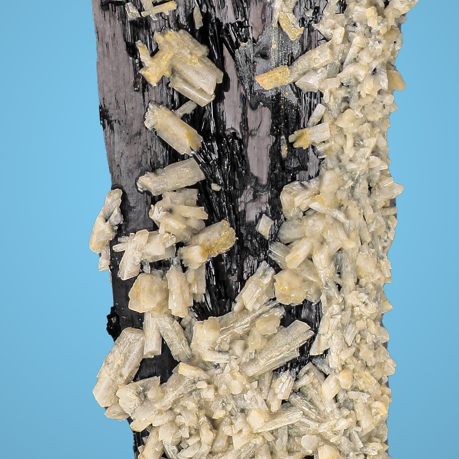 Wendel-Minerals | Item: 1123 - Foitite-Davib Ost Farm 61 | Hohenstein ...