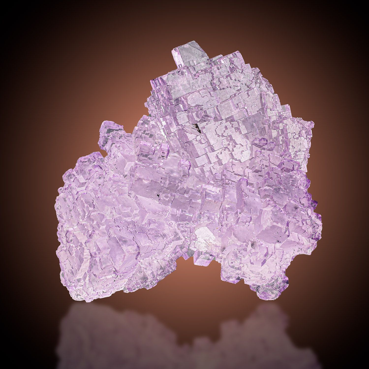 Wendel-Minerals | Item: 1344 - Fluorite-El Tule Mine | Melchor Múzquiz ...