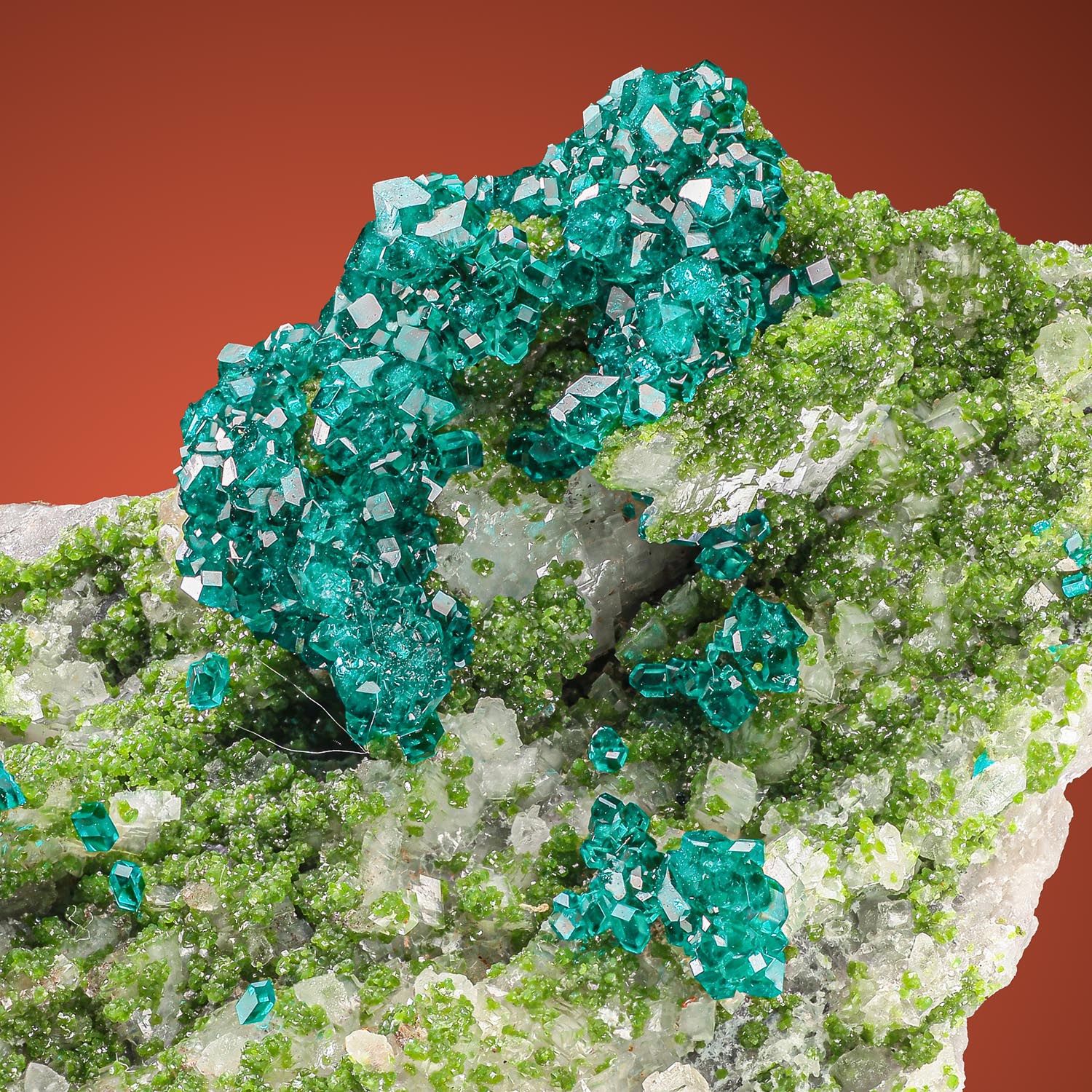 Wendel-Minerals | Item: 1448 - Dioptase-Tsumeb Mine | Tsumeb | Otjikoto ...