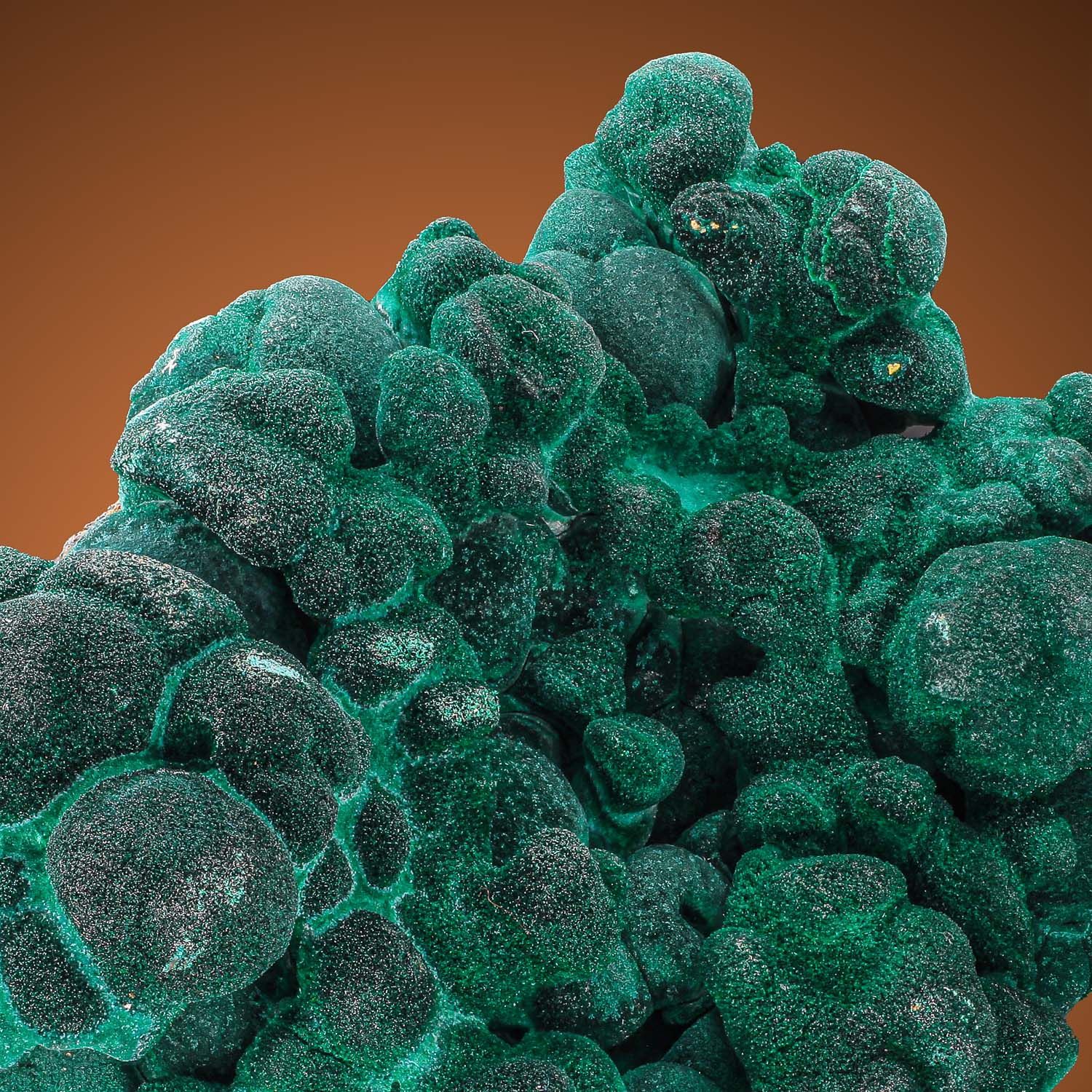 Wendel-Minerals | Item: 1558 - Malachite-Tsumeb Mine | Tsumeb ...