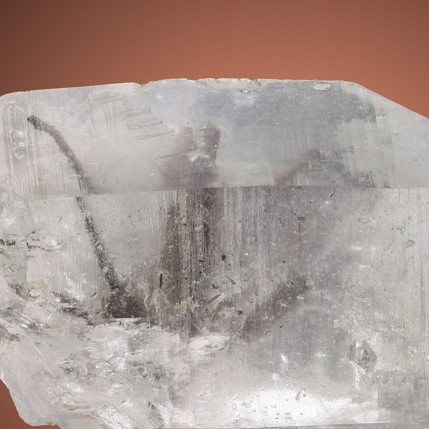 Wendel-Minerals | Item: 1732 - Brookite-Zard Mt. | Ras Koh Mts ...