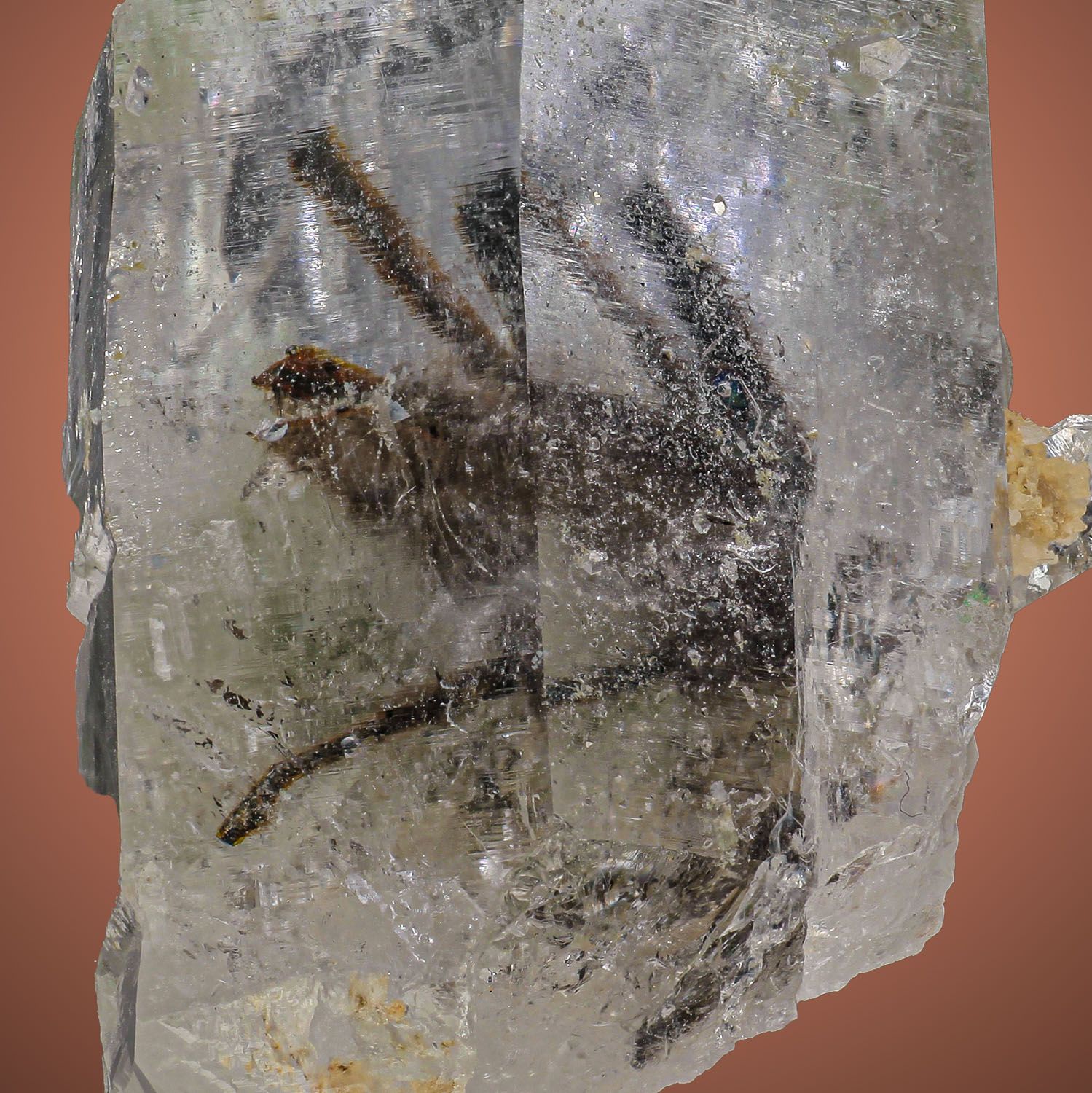 Wendel-Minerals | Item: 1732 - Brookite-Zard Mt. | Ras Koh Mts ...