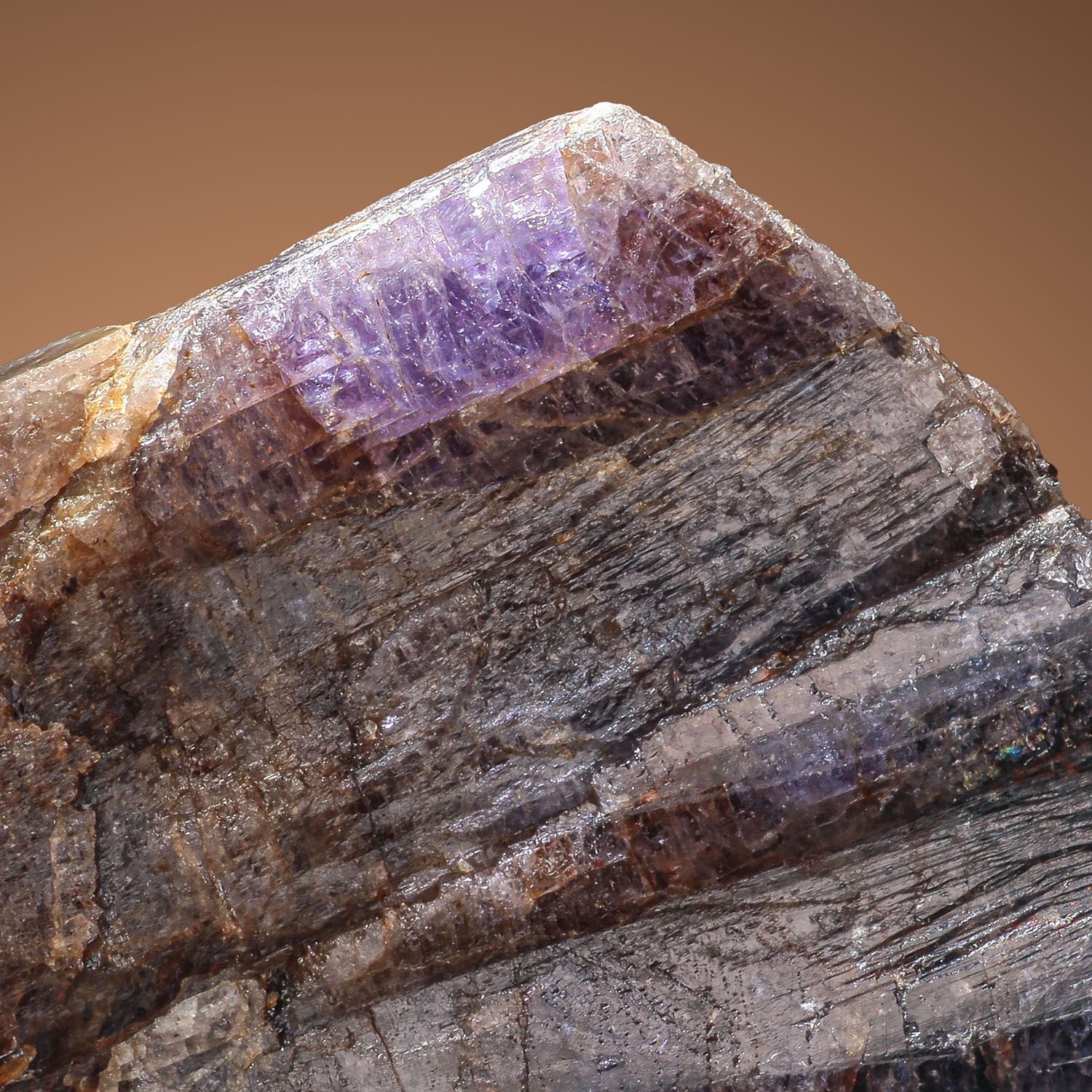 Wendel-Minerals | Item: 1764 - Tanzanite-Merelani Hills | Lelatema Mts ...