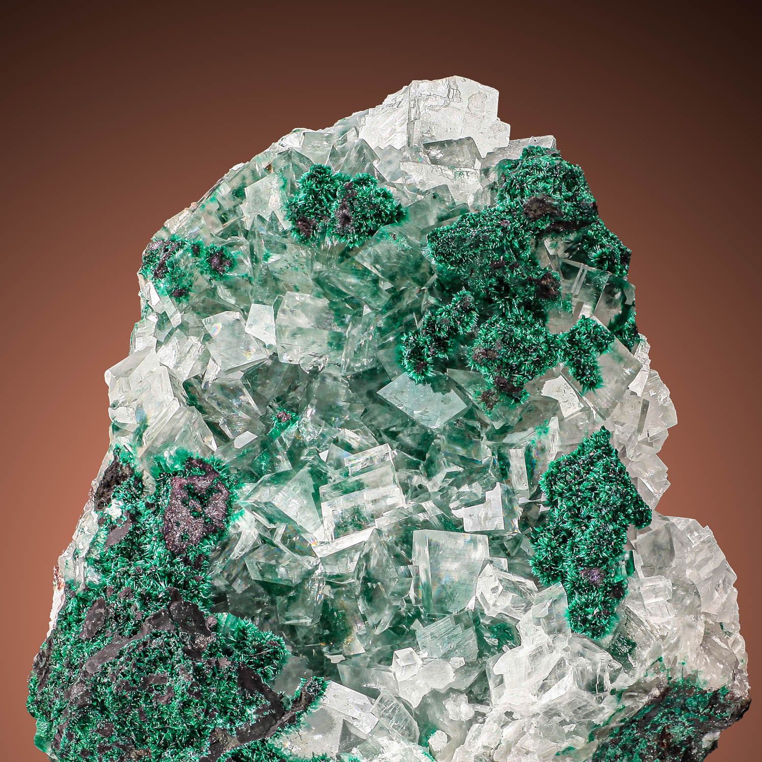 Wendel-Minerals | Item: 1935 - Malachite-Tsumeb Mine | Tsumeb ...