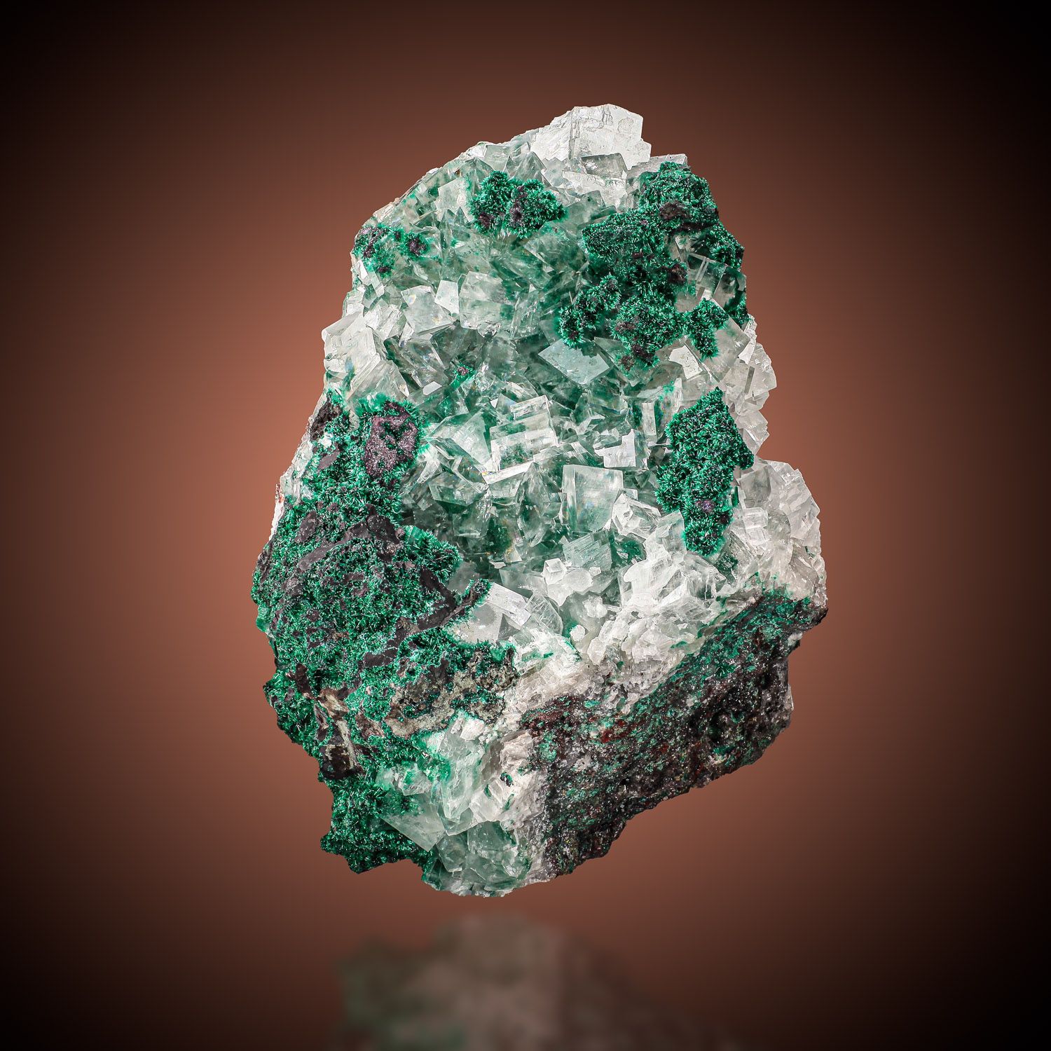 Wendel-Minerals | Item: 1935 - Malachite-Tsumeb Mine | Tsumeb ...
