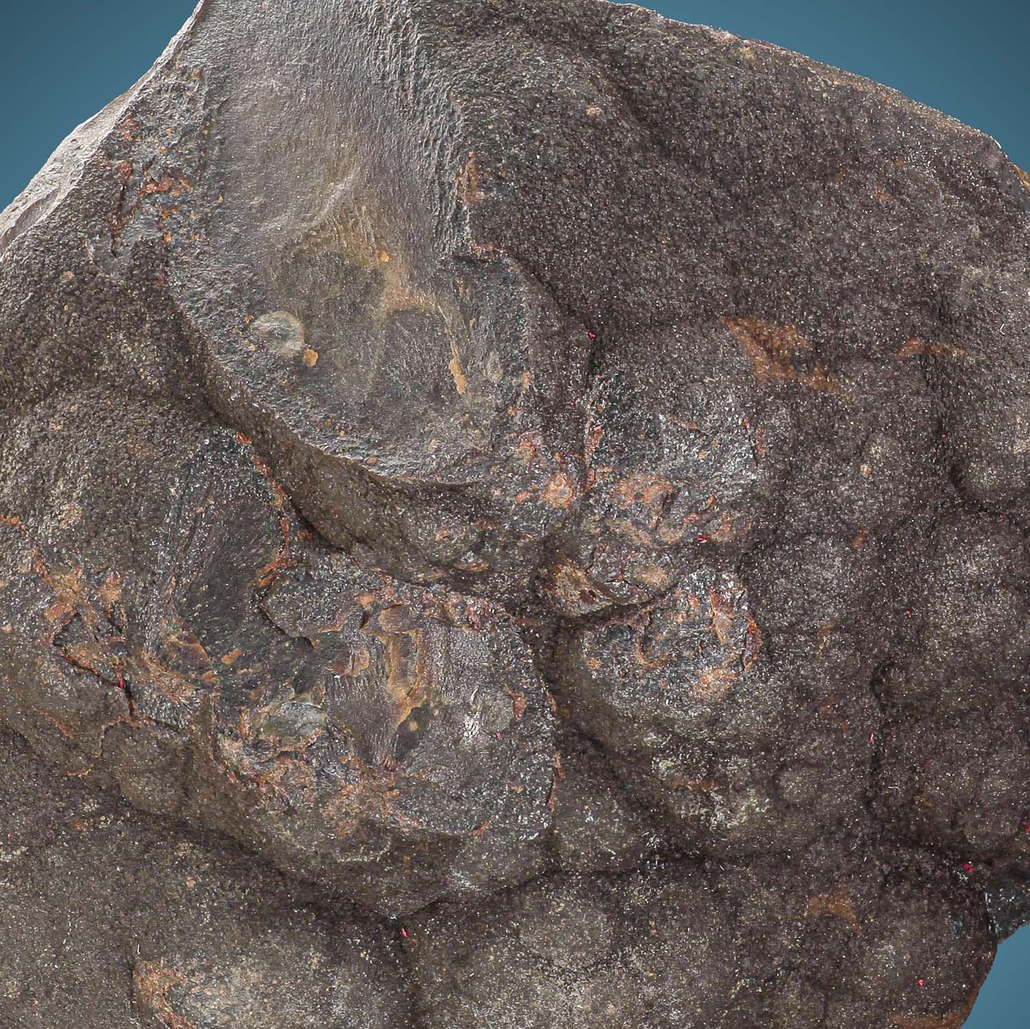 Wendel-Minerals | Item: 1942 - Schalenblende-Altenberg Mine near ...