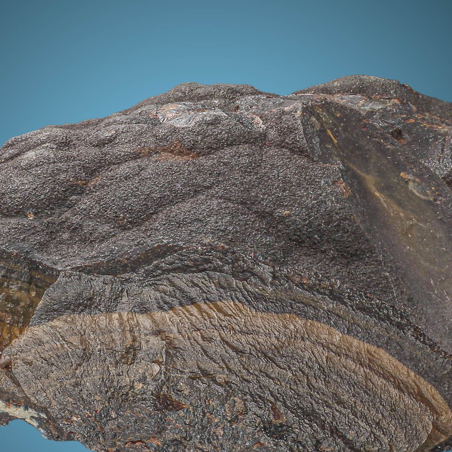 Wendel-Minerals | Item: 1942 - Schalenblende-Altenberg Mine near ...