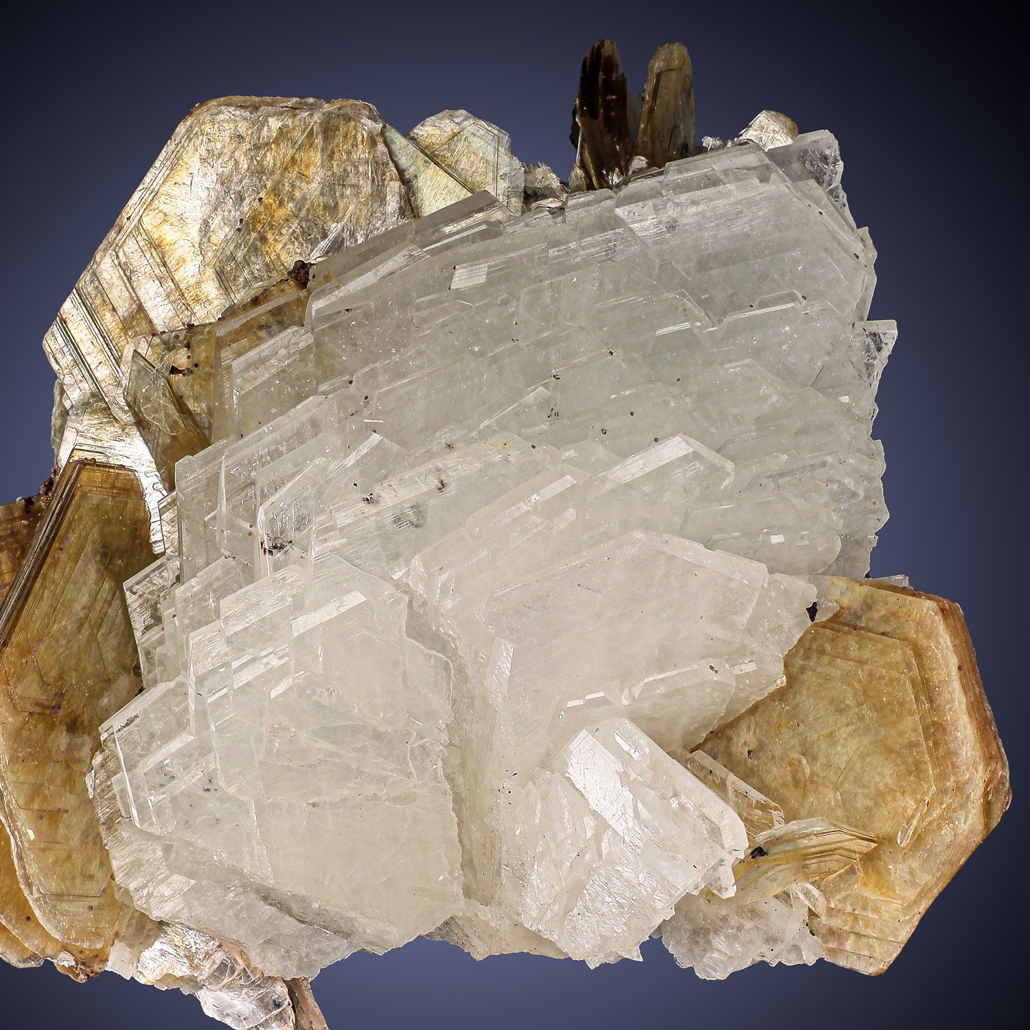 Wendel-Minerals | Item: 1951 - Albite-Virgem da Lapa | Jequitinhonha ...