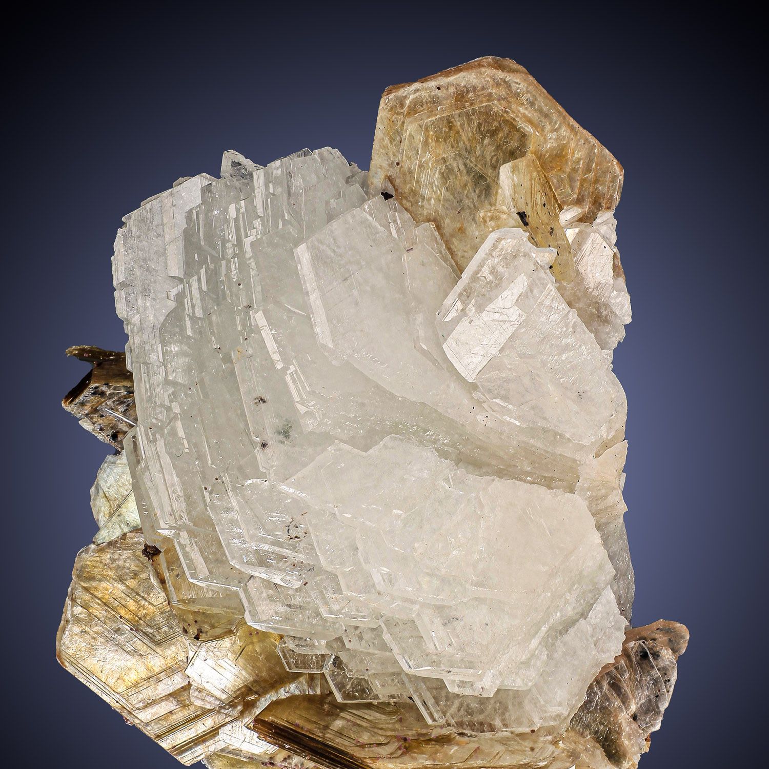 Wendel-Minerals | Item: 1951 - Albite-Virgem da Lapa | Jequitinhonha ...