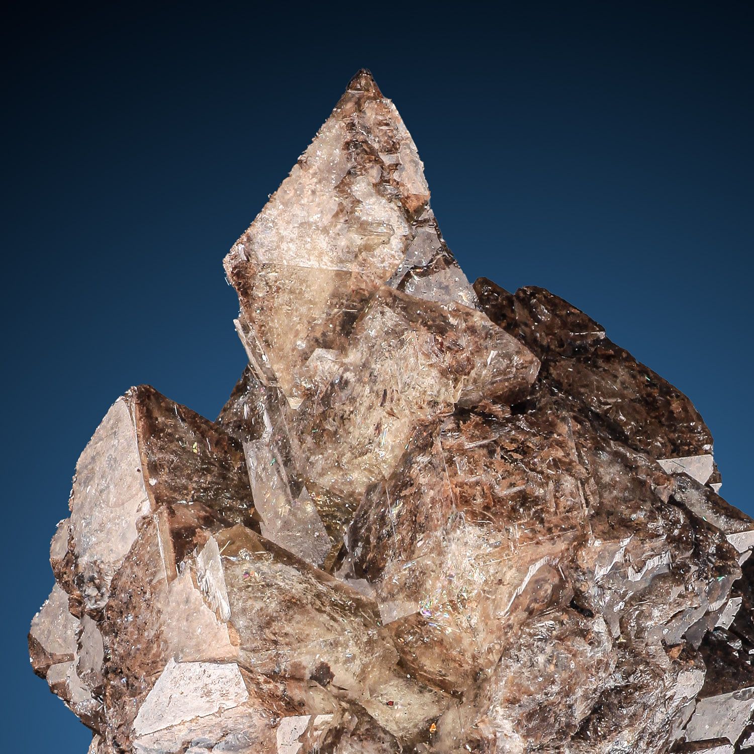 Wendel-Minerals | Item: 1974 - Mellite-Csordakúti Mine | Bicske ...