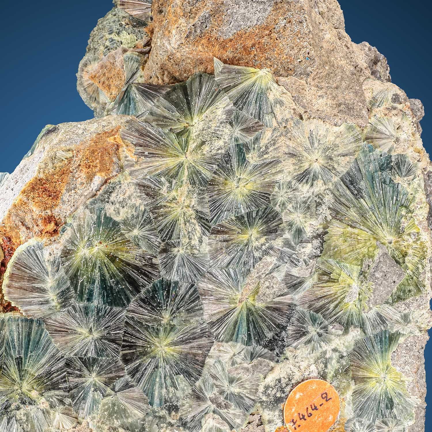 Wendel-Minerals | Item: 5003 - Wavellite-Avant Mine | Garland County ...