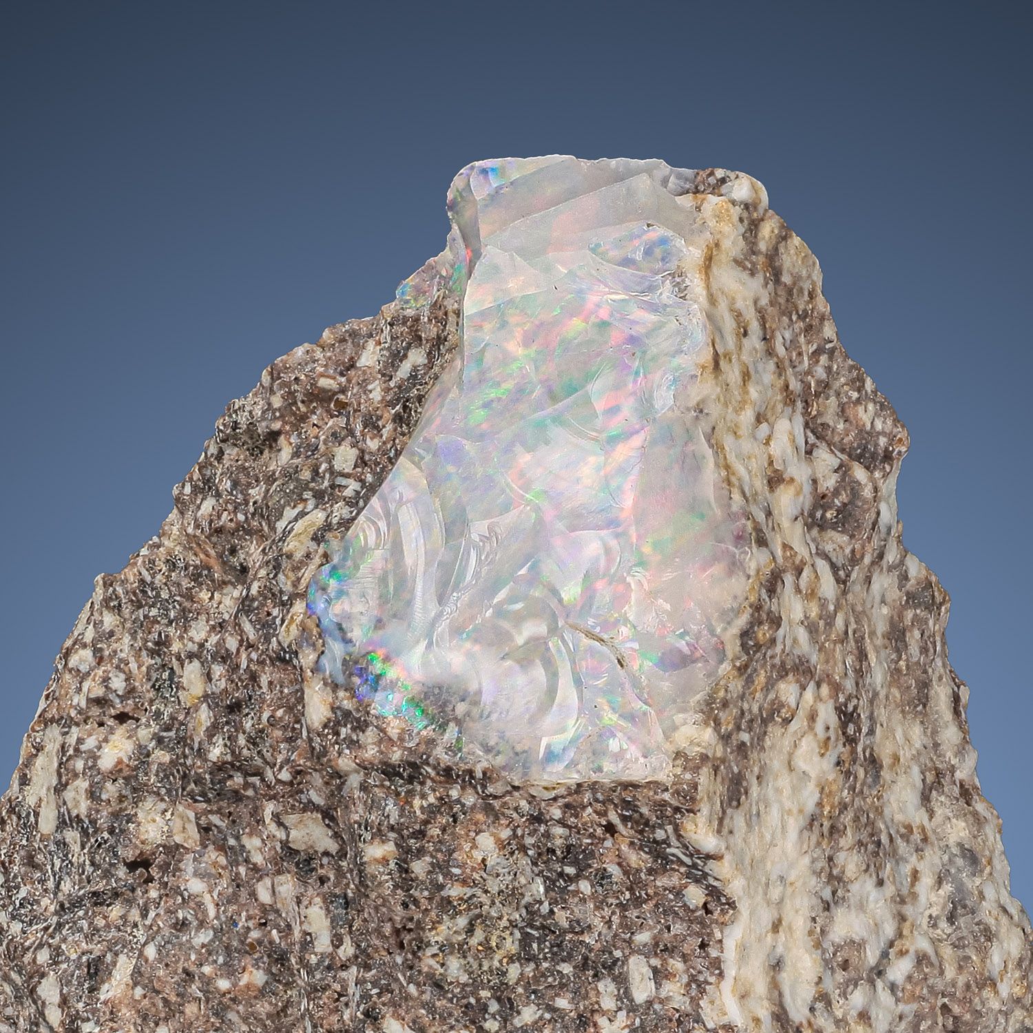 Wendel-Minerals | Item: 5028 - Precious Opal-Dubník | Červenica ...