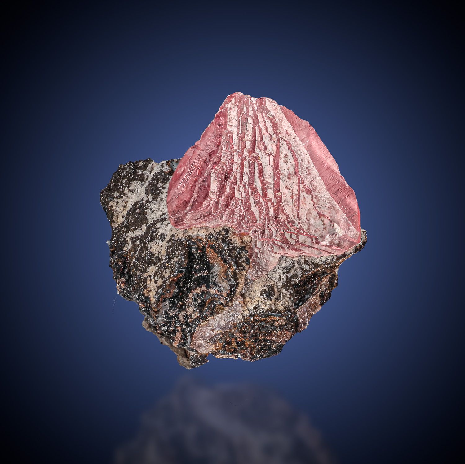 Wendel-Minerals | Item: 2976 - Rhodochrosite-Uchucchacua Mine | Oyon ...