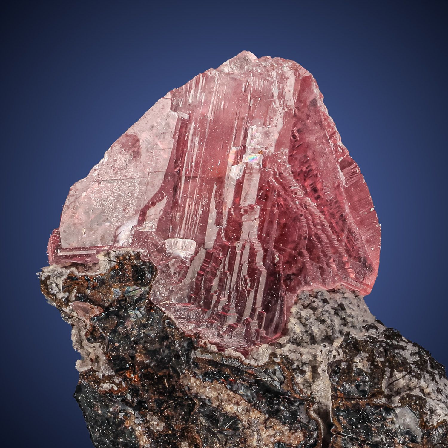 Wendel-Minerals | Item: 2976 - Rhodochrosite-Uchucchacua Mine | Oyon ...