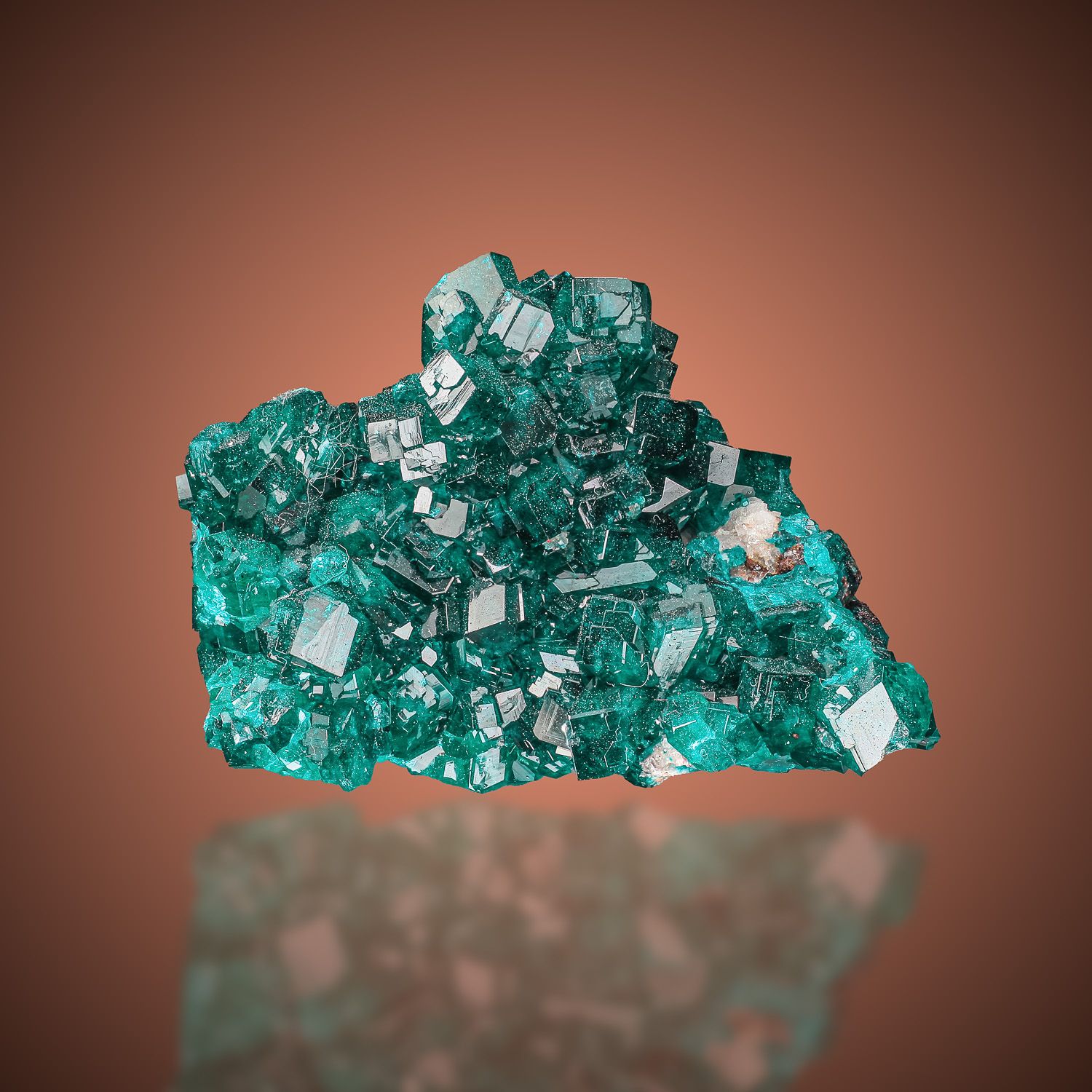 Wendel-Minerals | Item: 3292 - Dioptase-Tsumeb Mine | Tsumeb | Otjikoto ...