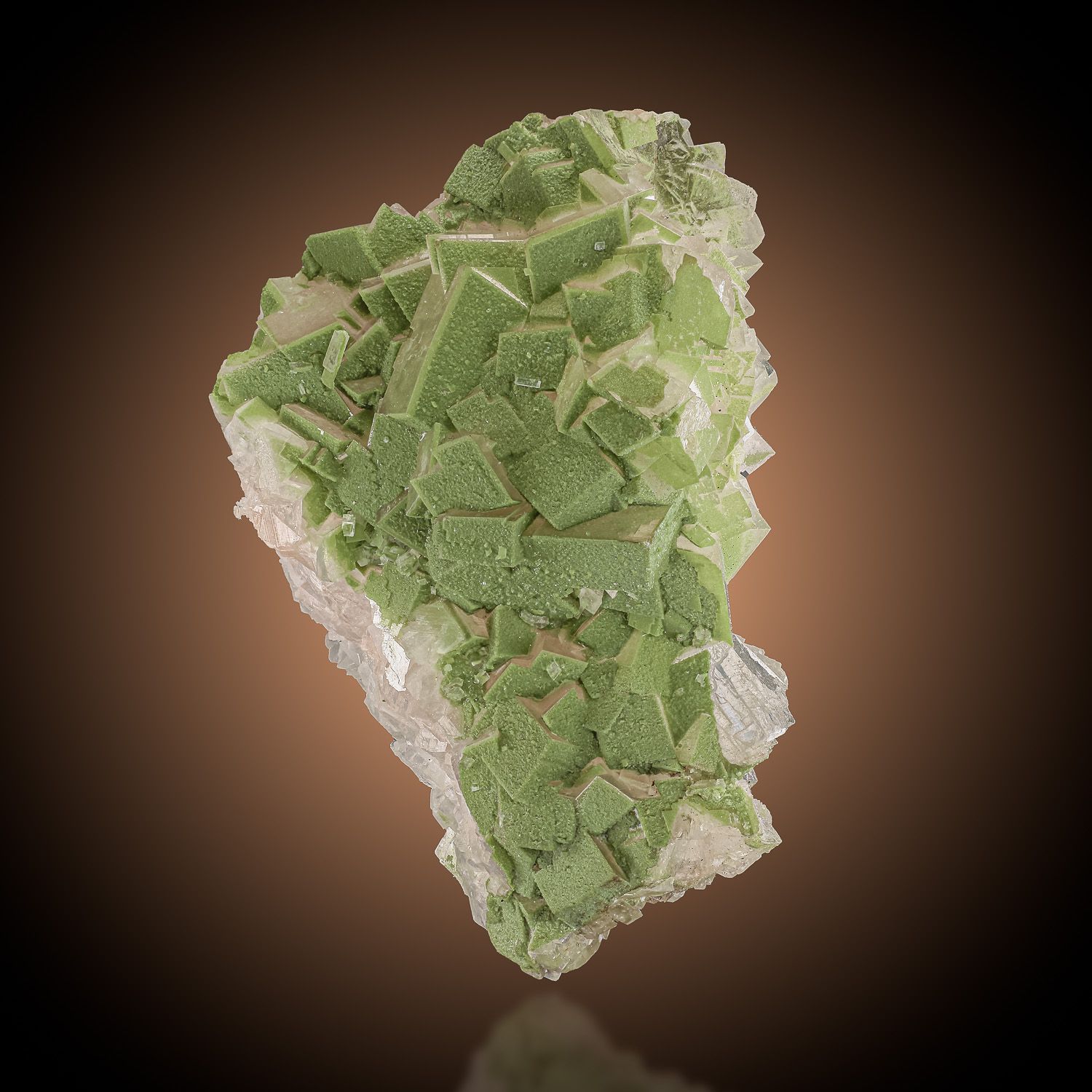 Wendel-Minerals | Item: 3164 - Mottramite-Tsumeb Mine | Tsumeb ...