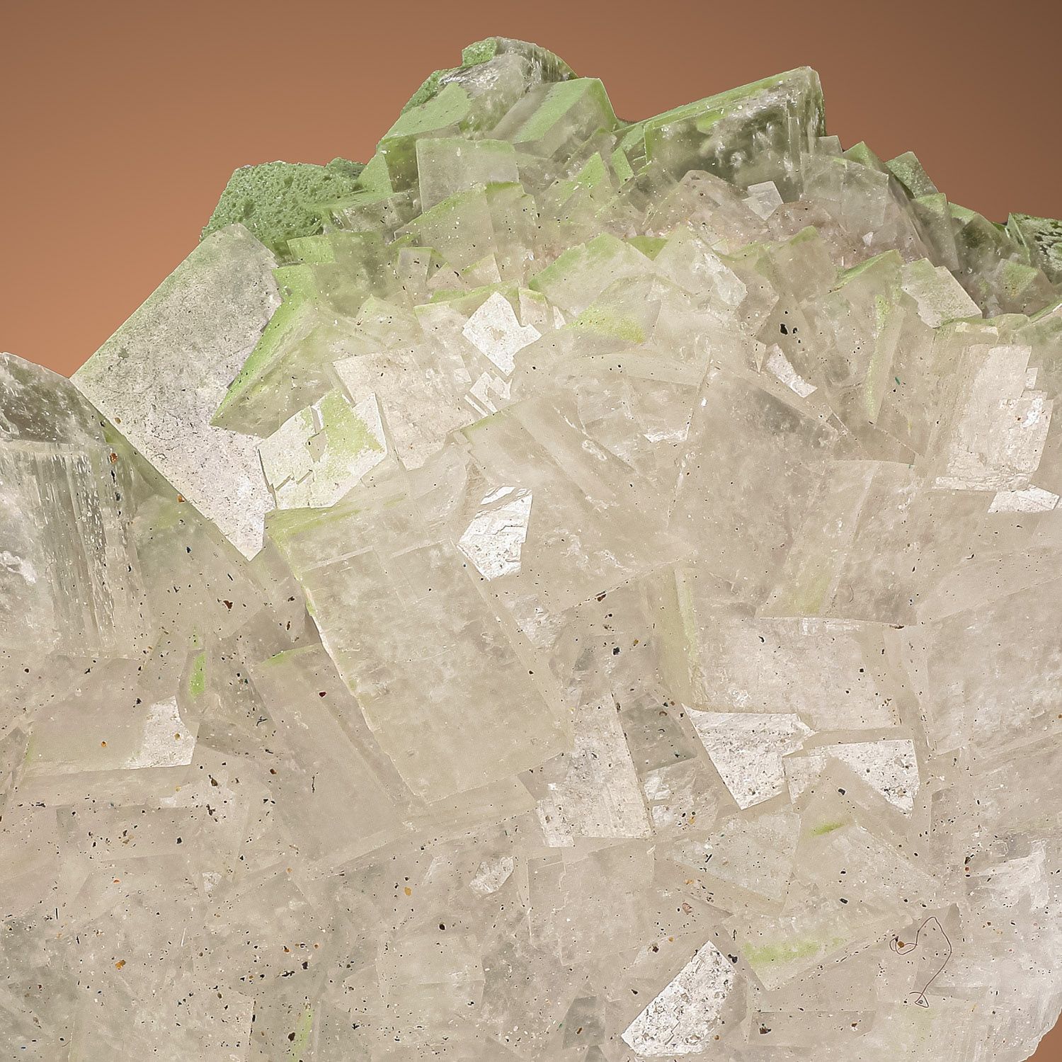 Wendel-Minerals | Item: 3164 - Mottramite-Tsumeb Mine | Tsumeb ...