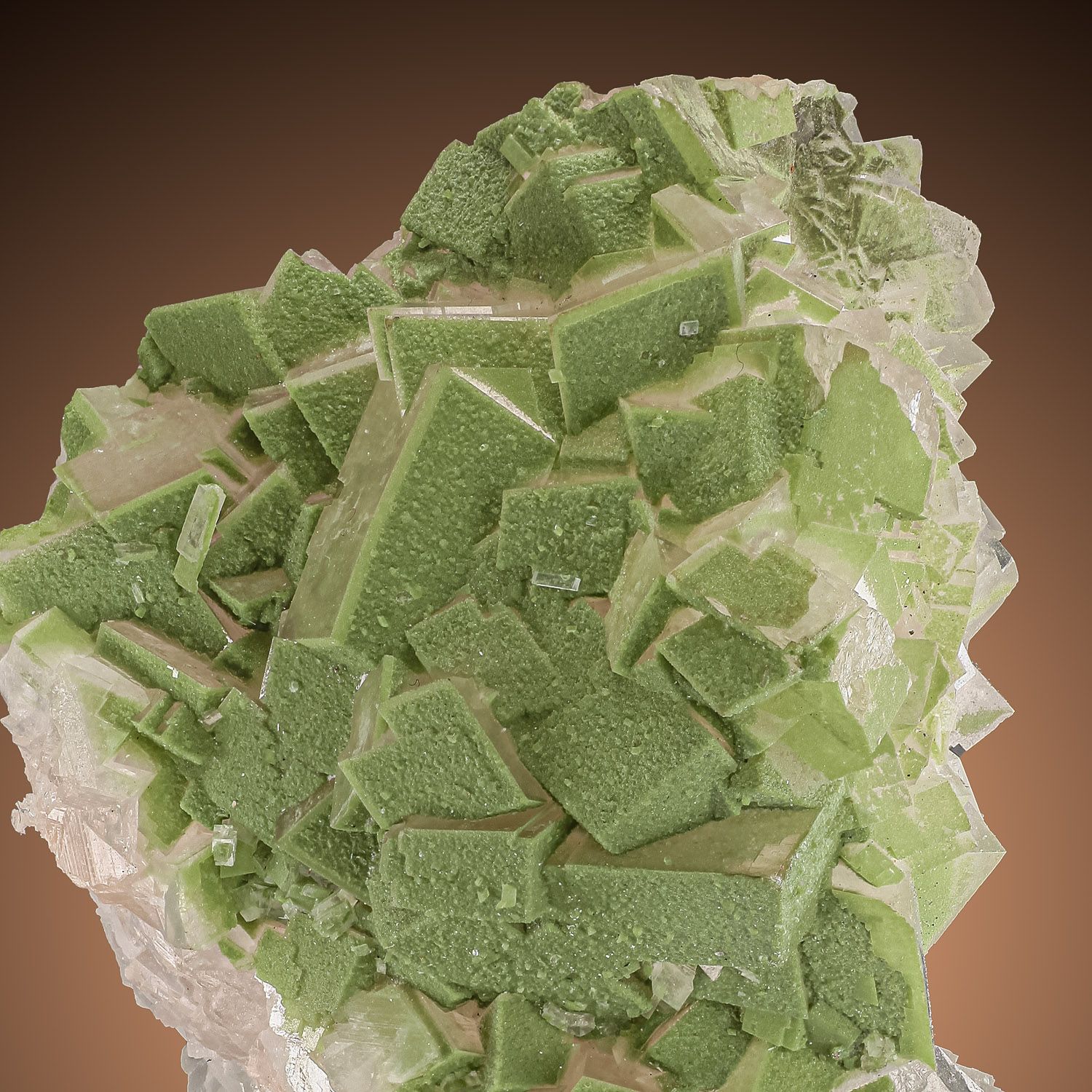 Wendel-Minerals | Item: 3164 - Mottramite-Tsumeb Mine | Tsumeb ...
