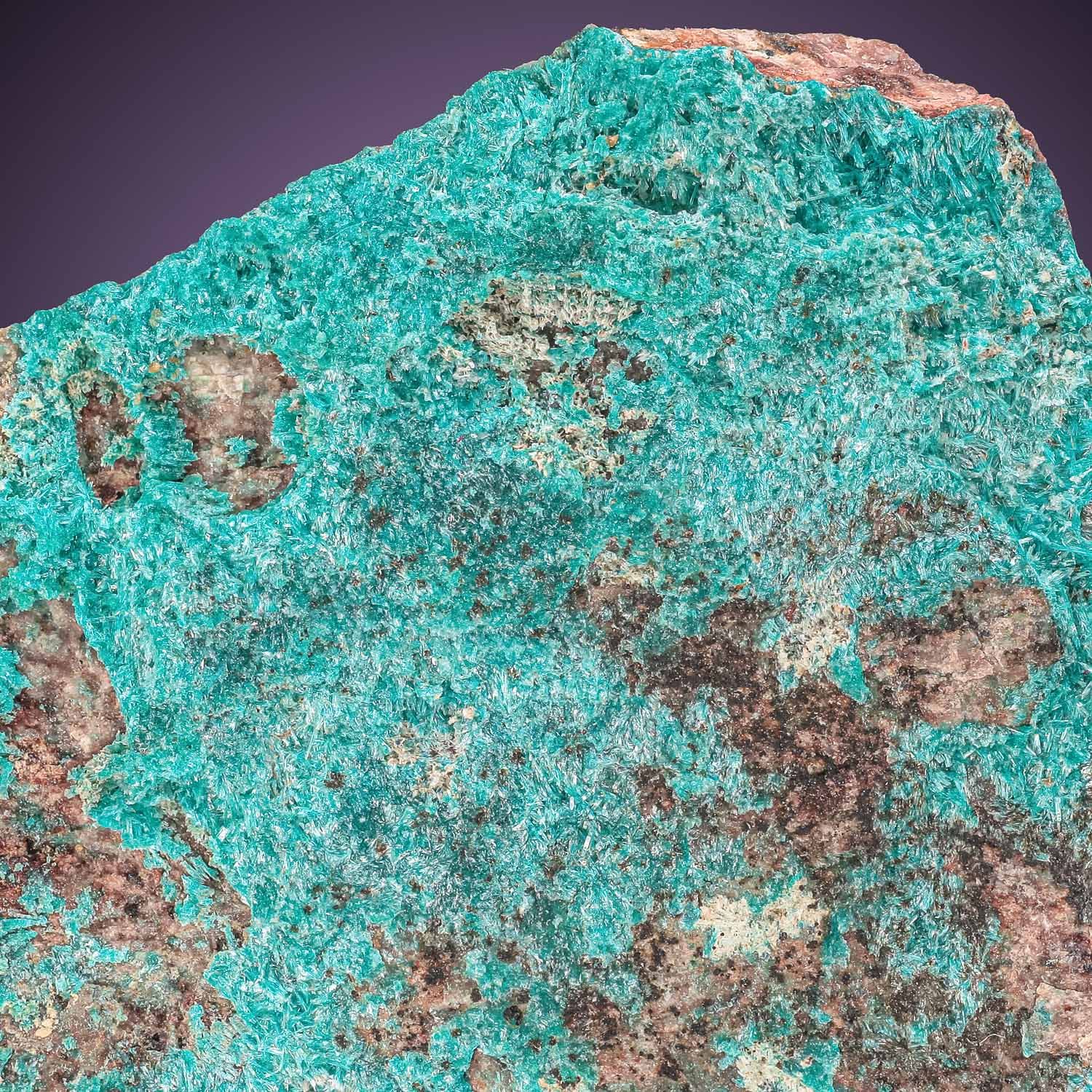 Wendel-Minerals | Item: 3480 - Ajoite-New Cornelia Mine | Ajo | Pima ...