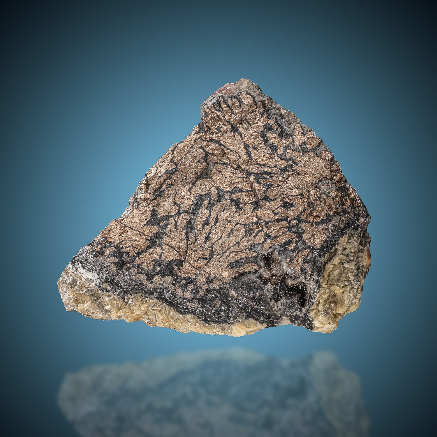 Wendel-Minerals | Item: 3509 - Nickeline-Schneeberg | Erzgebirge ...