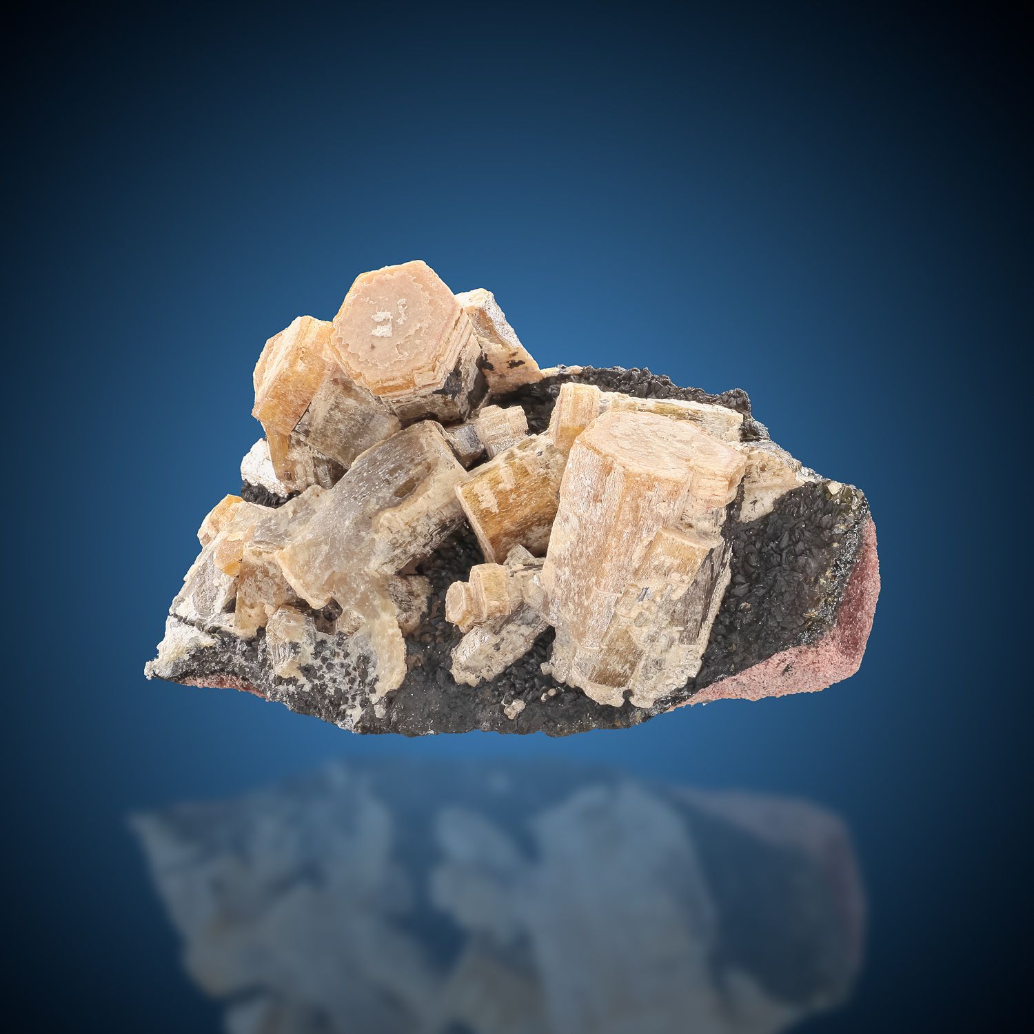 Wendel-Minerals | Item: 3403 - Vanadinite-Touissit | Jerada Province ...