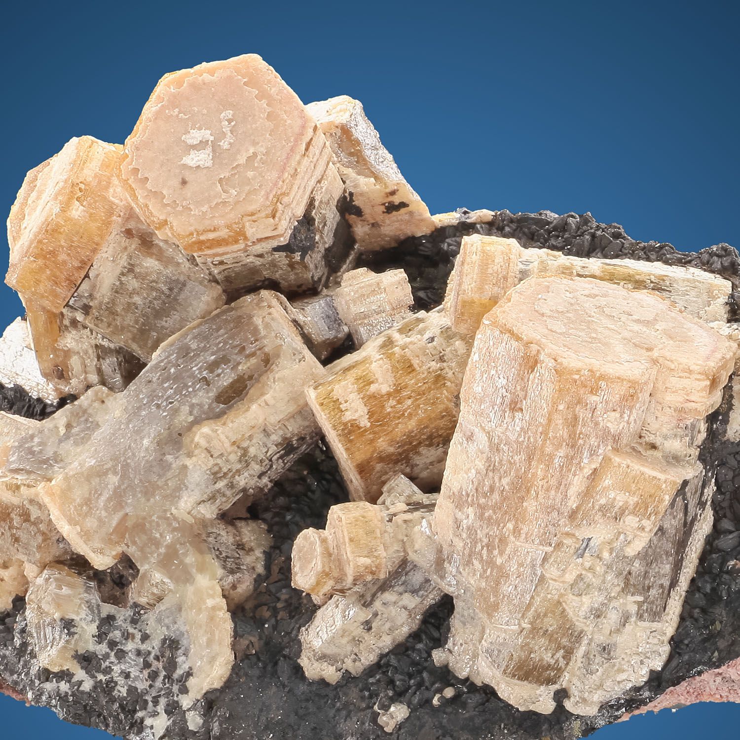 Wendel-Minerals | Item: 3403 - Vanadinite-Touissit | Jerada Province ...