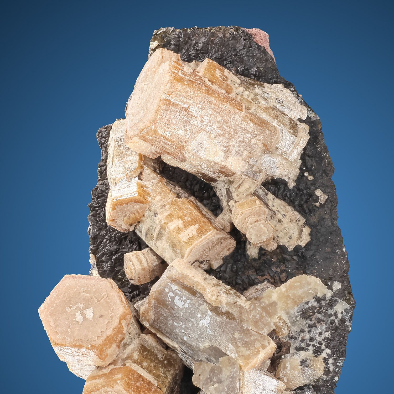 Wendel-Minerals | Item: 3403 - Vanadinite-Touissit | Jerada Province ...