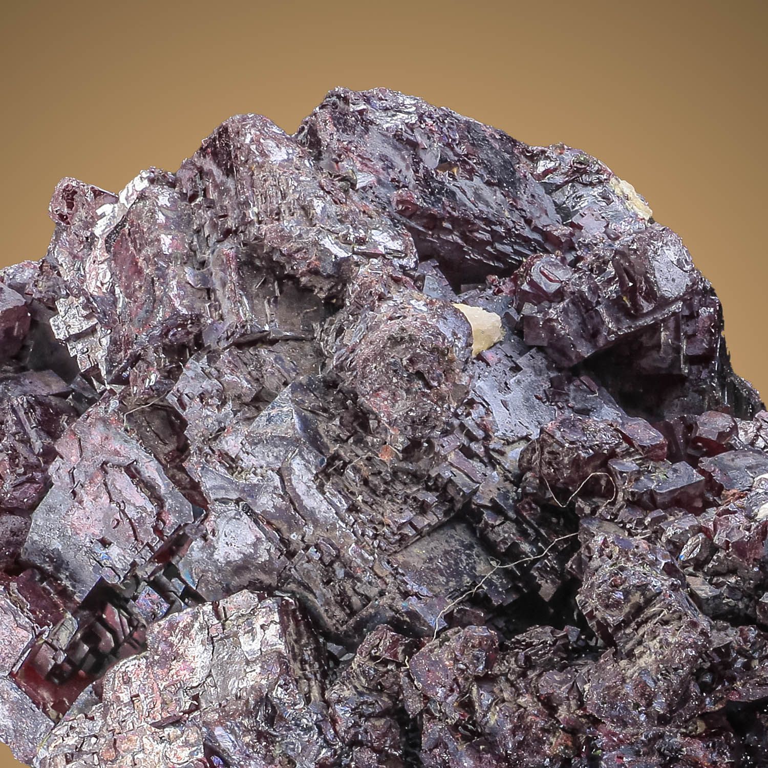 Wendel-Minerals | Item: 3710 - Pyrargyrite-San Juan de Rayas Mine ...