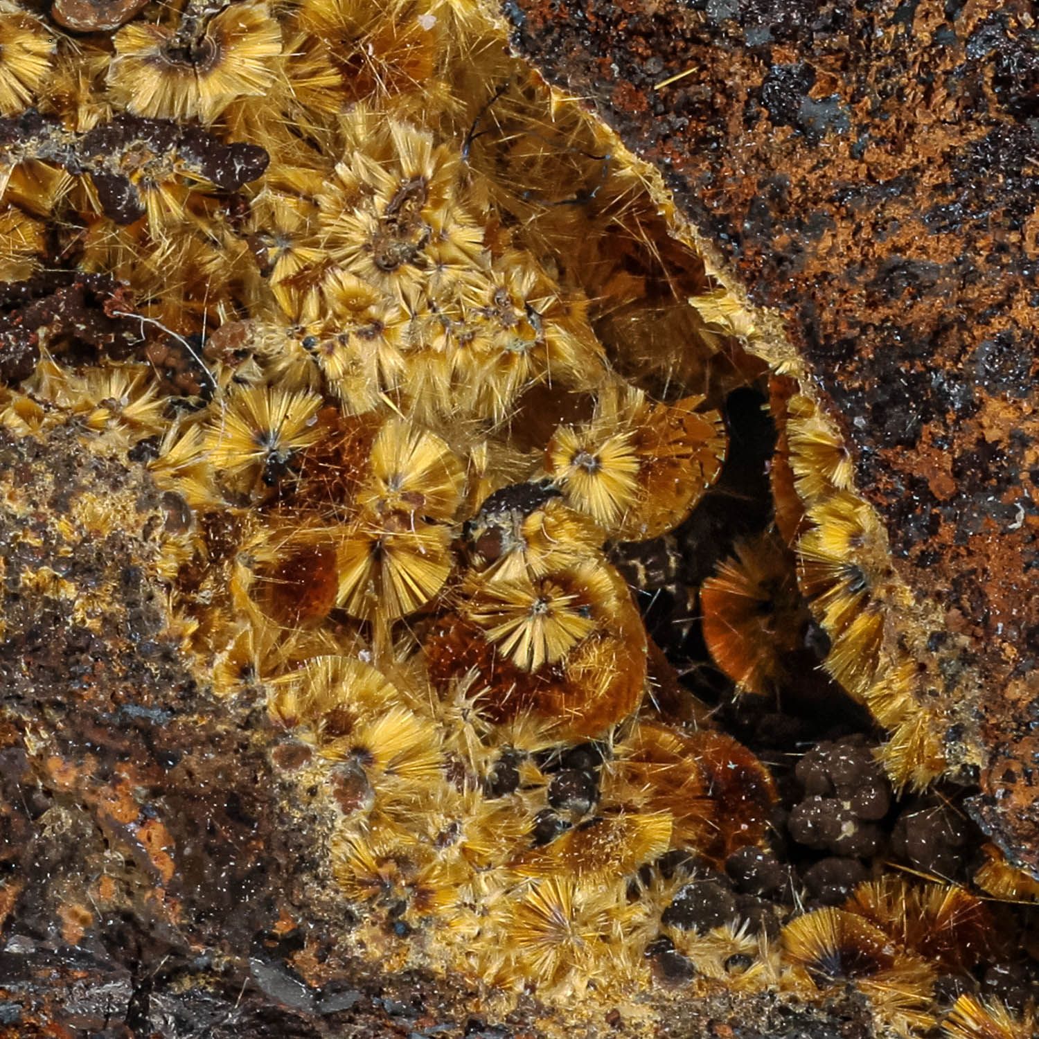 Wendel-Minerals | Item: 4167 - Cacoxenite-Eleonore Mine | Biebertal ...