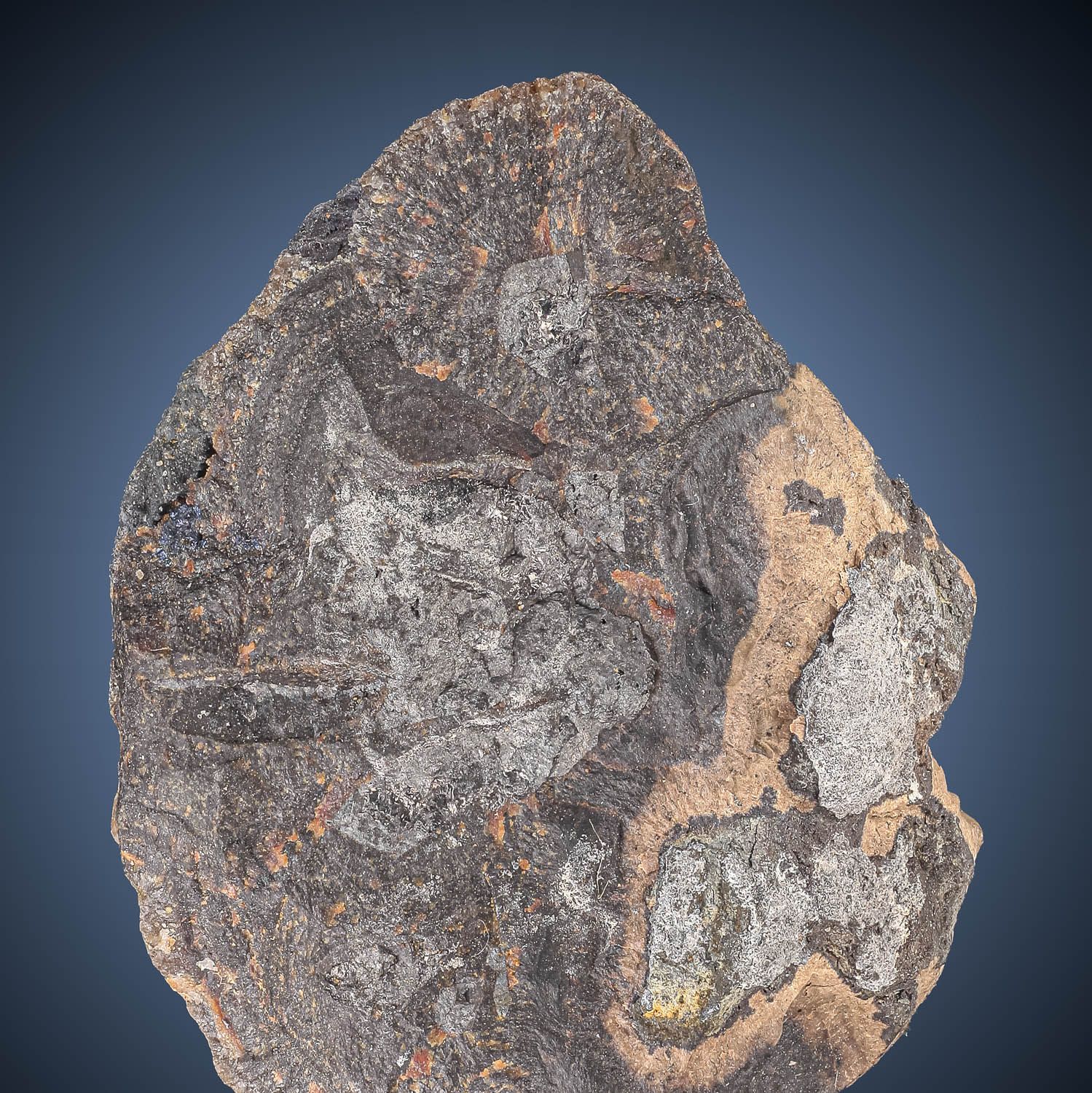 Wendel-Minerals | Item: 4195 - Jordanite-Blei-Scharley | Nowy Orzeł ...